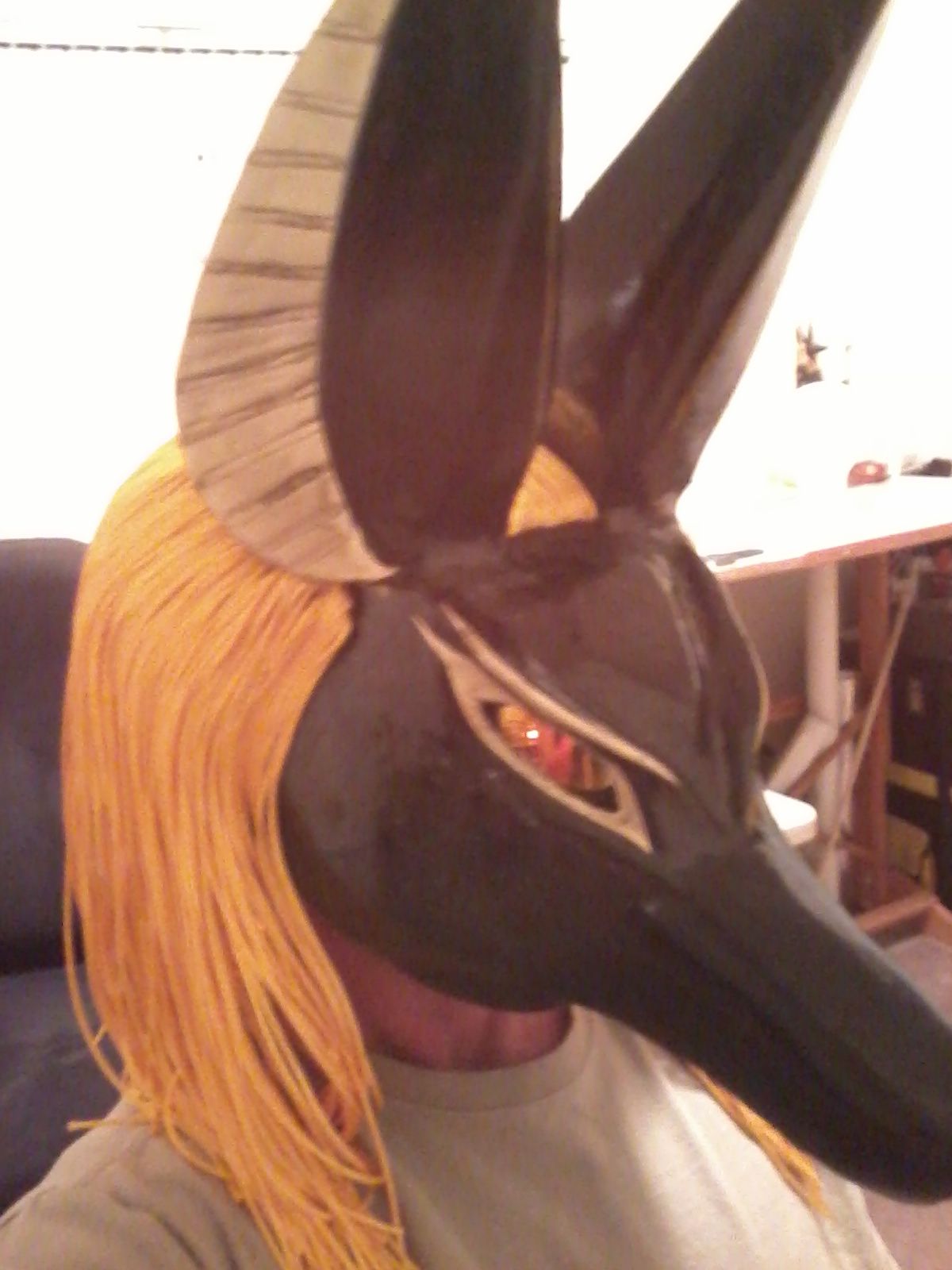 Constructing Anubis : 7 Steps (with Pictures) - Instructables