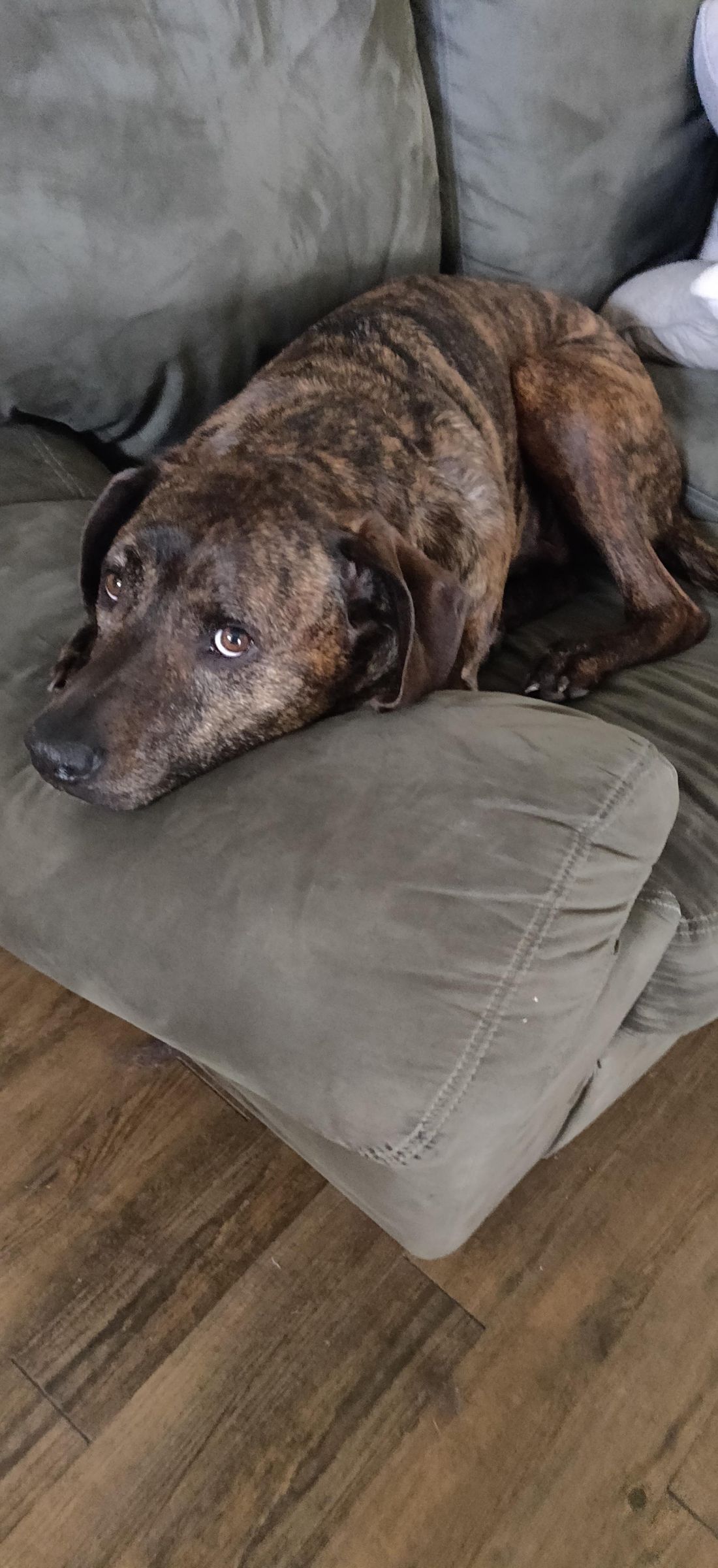 Kinetic Seven Segment Clock : 5 Steps (with Pictures) - Instructables