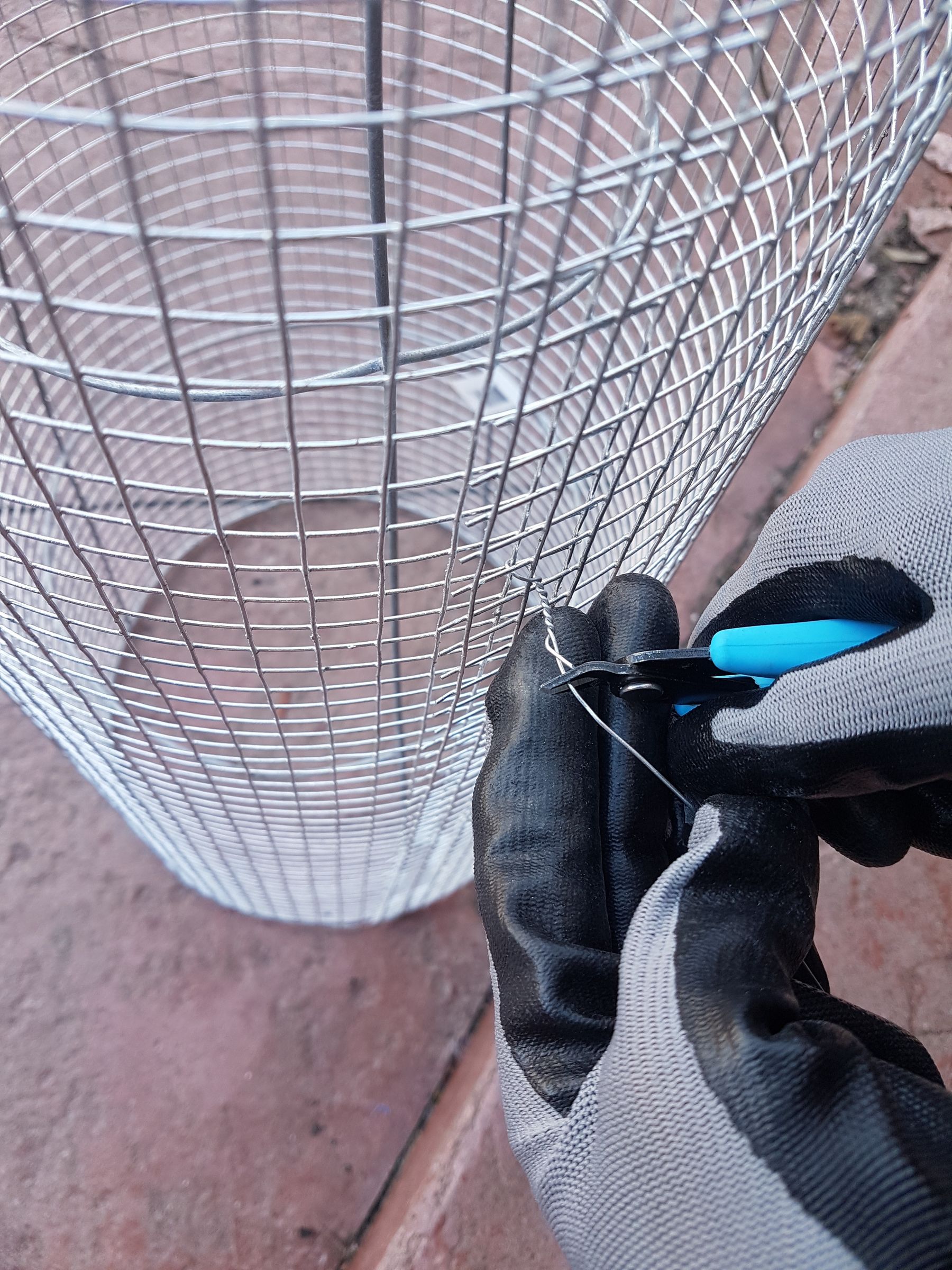 Vegetable / Fruit Plant Cage : 8 Steps (with Pictures) - Instructables