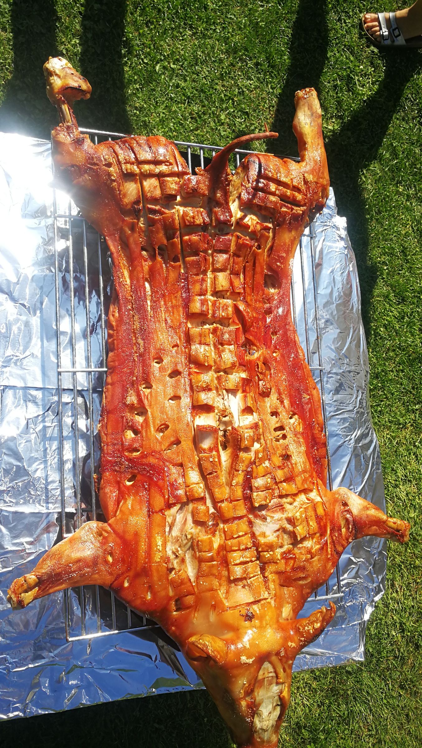 Build a Caja China ~ Roast a Pig in a Box : 10 Steps (with Pictures ...