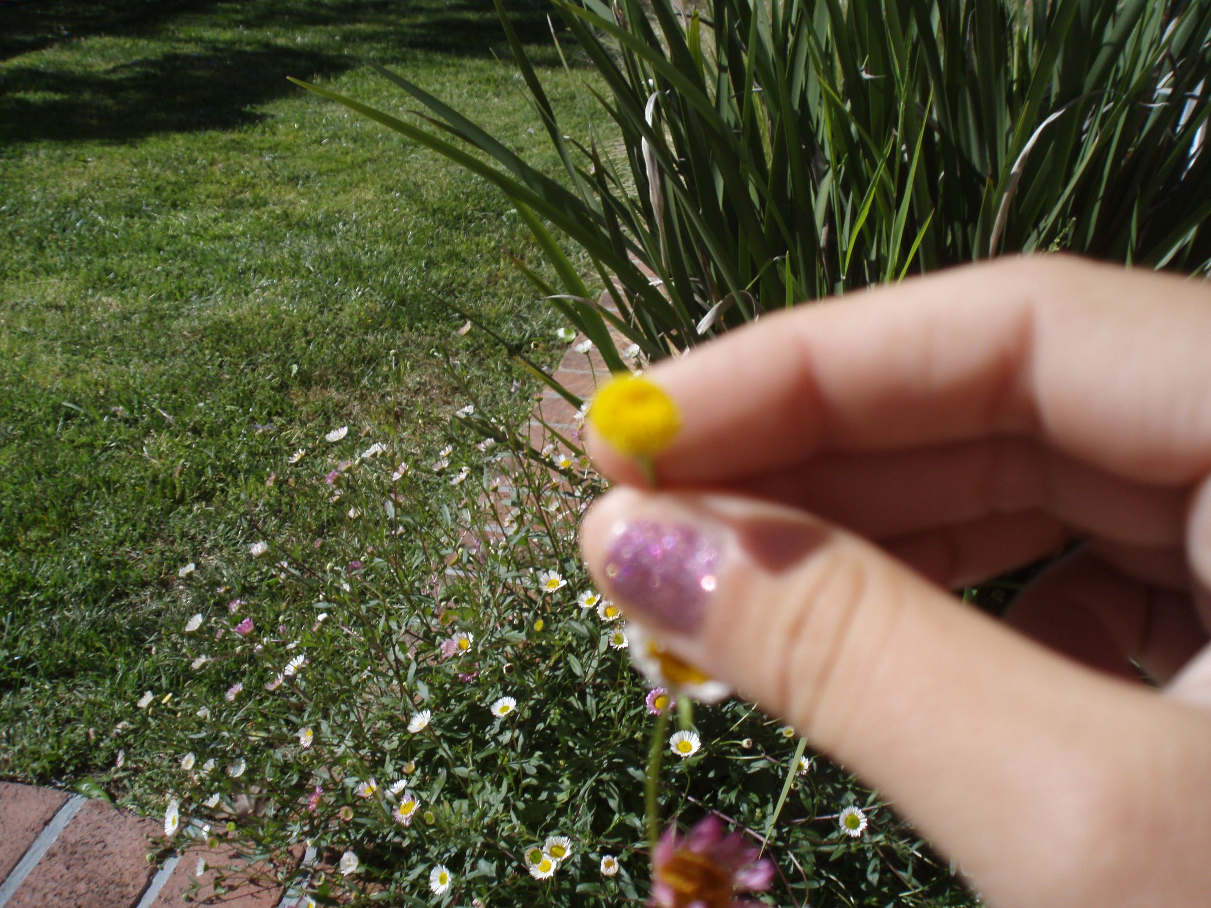 How to Make a Daisy Chain : 6 Steps - Instructables