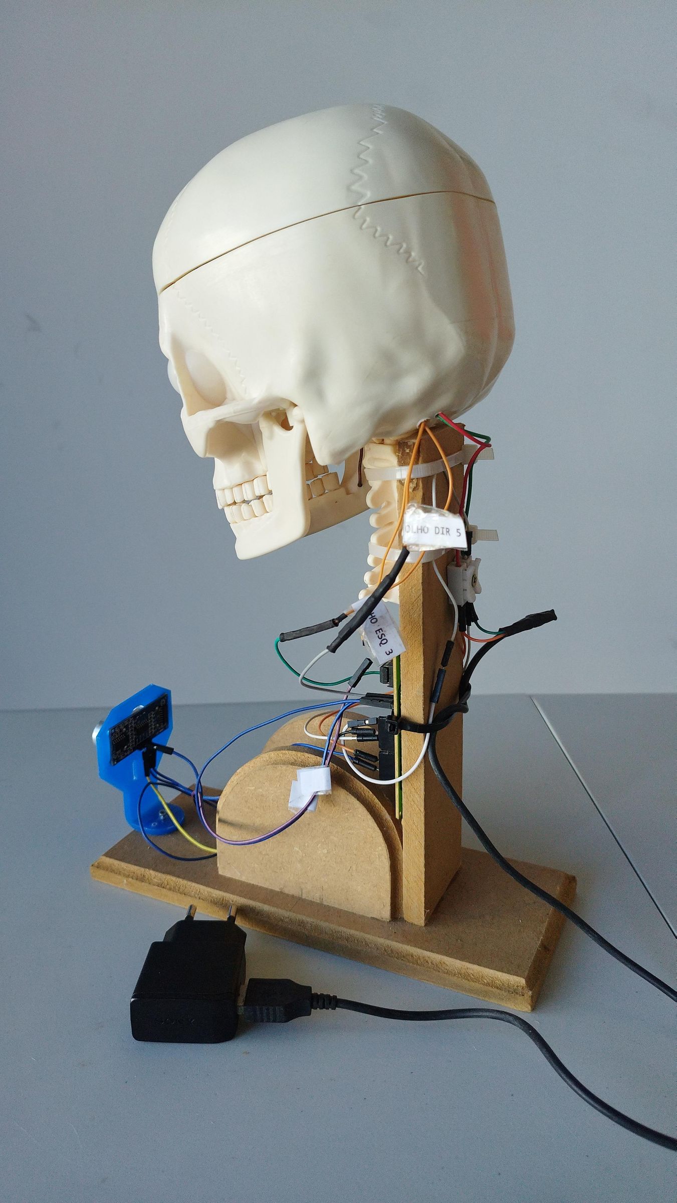 Animatronic Skull With Arduino : 7 Steps (with Pictures) - Instructables