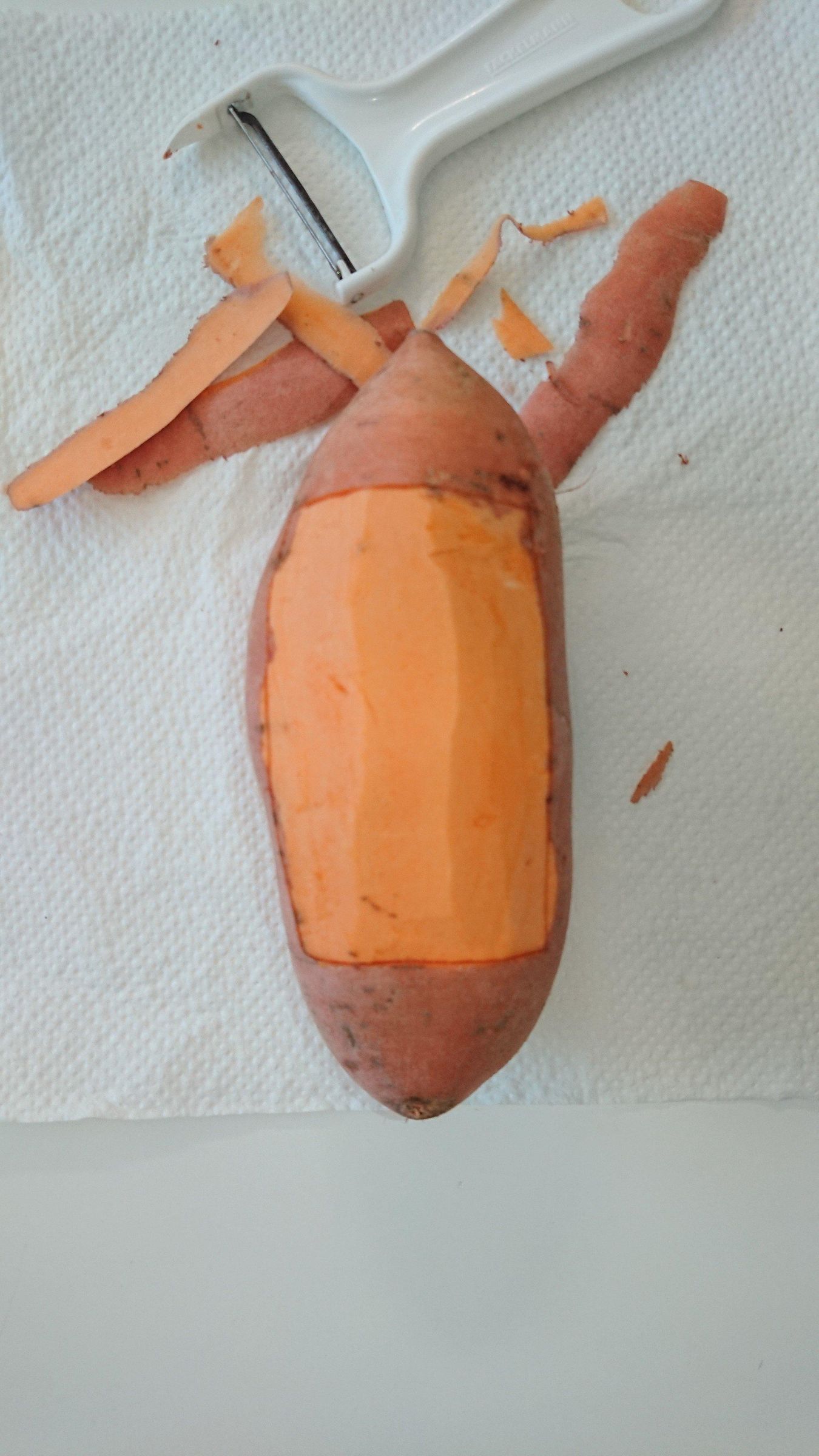 Screaming Potato : 16 Steps (with Pictures) - Instructables