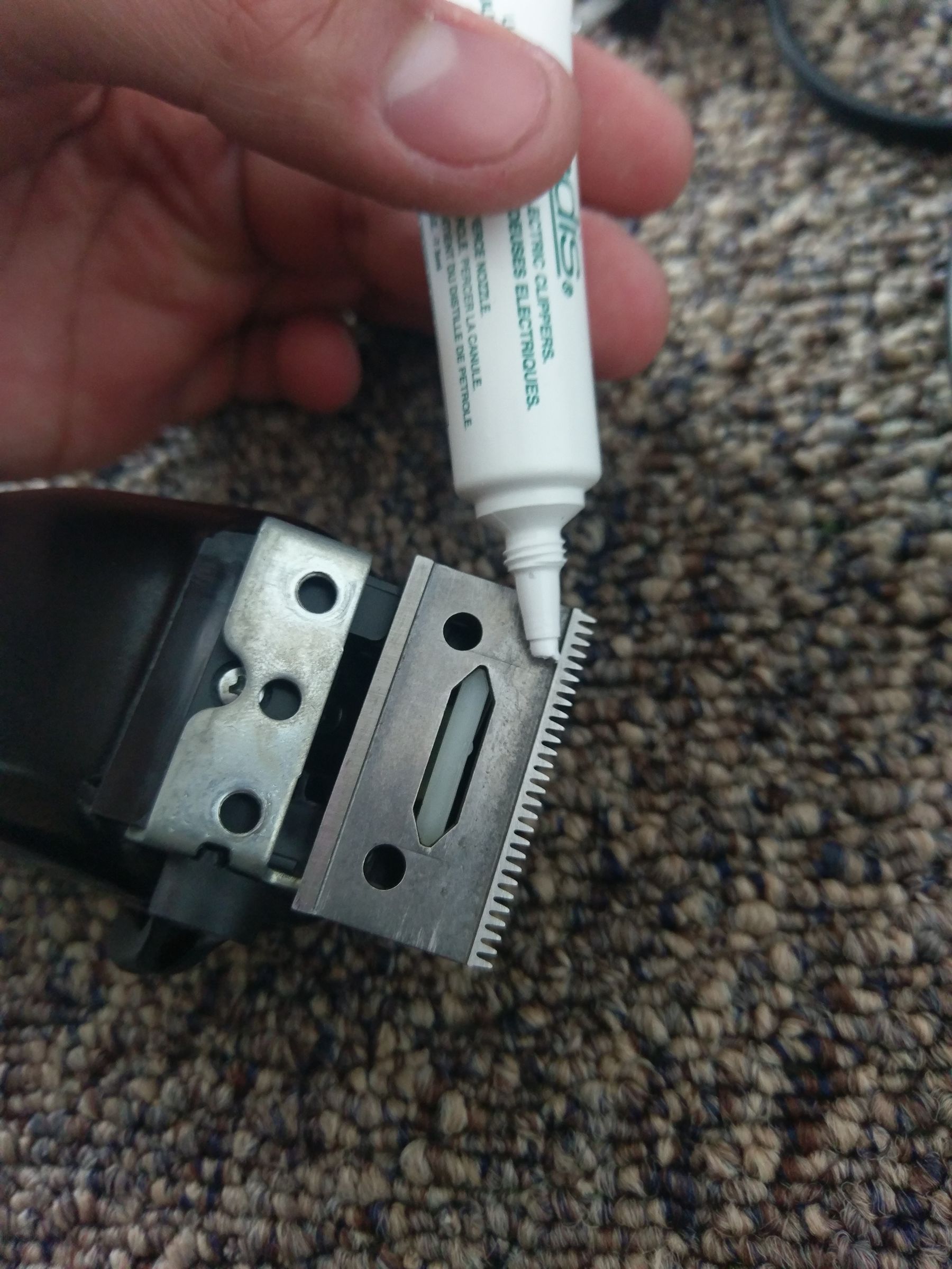 Clipper Maintenance : 5 Steps (with Pictures) - Instructables