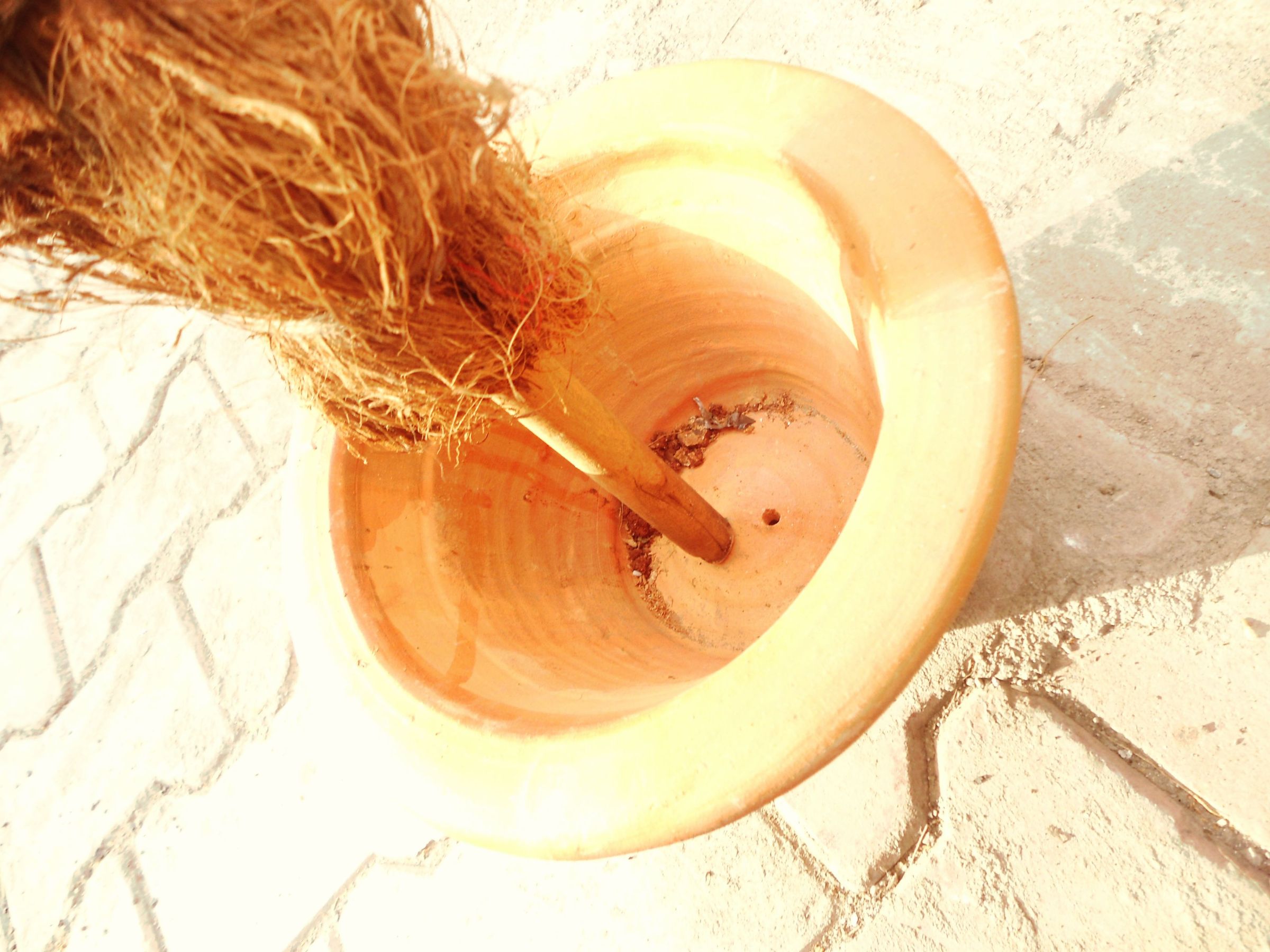 Climbing Pole for Plants From Coir. : 6 Steps - Instructables