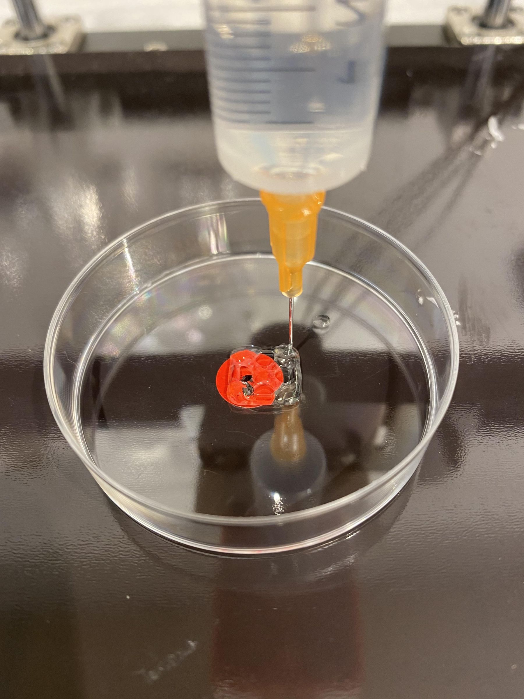 OPEN SOURCE BIOPRINTER : 22 Steps (with Pictures) - Instructables