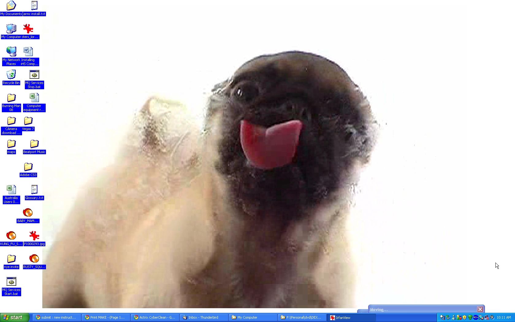 There Is a Dog Licking My PC Screen Prank : 3 Steps - Instructables