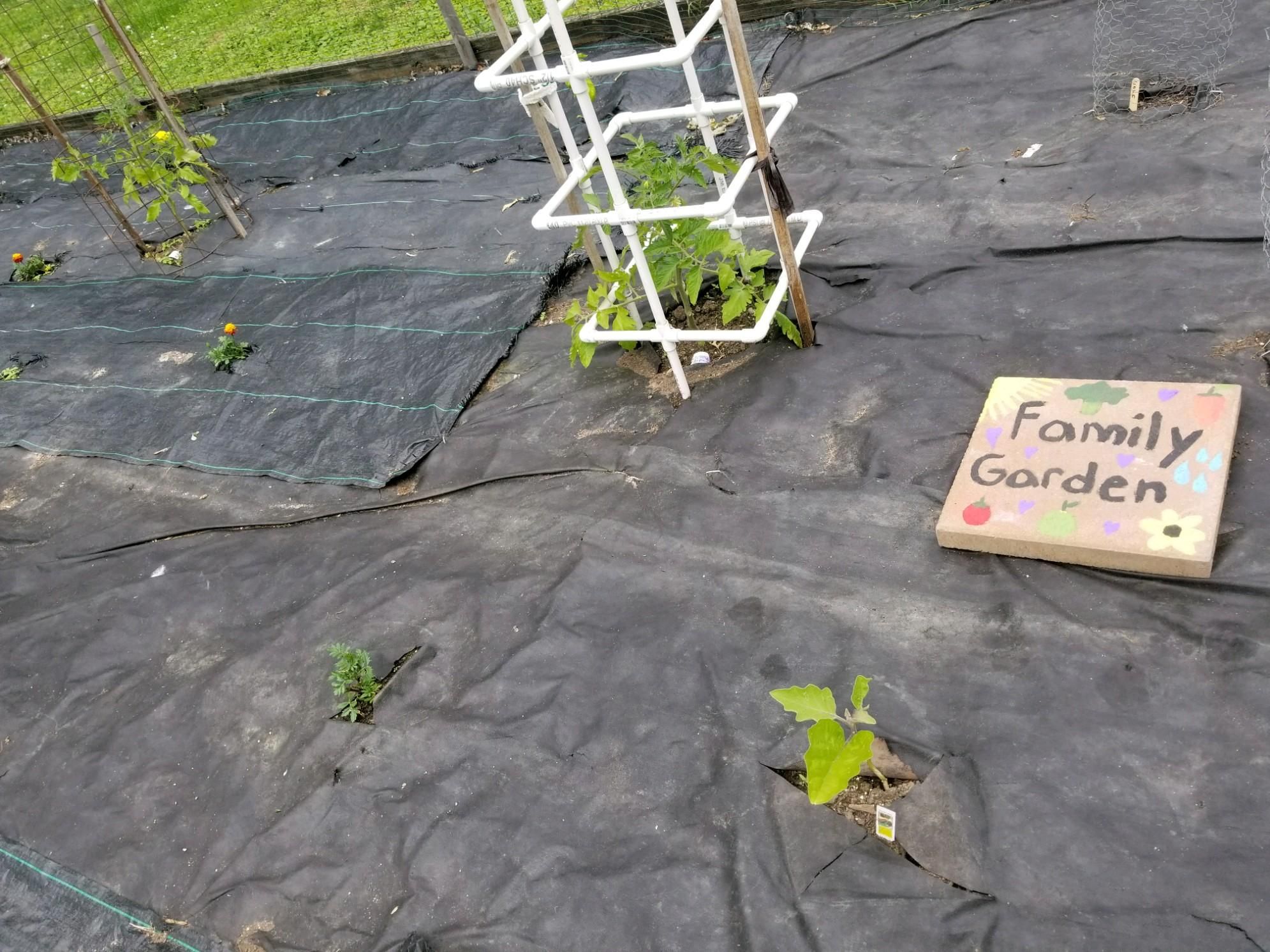 Up-cycled Paver Garden Markers : 3 Steps - Instructables