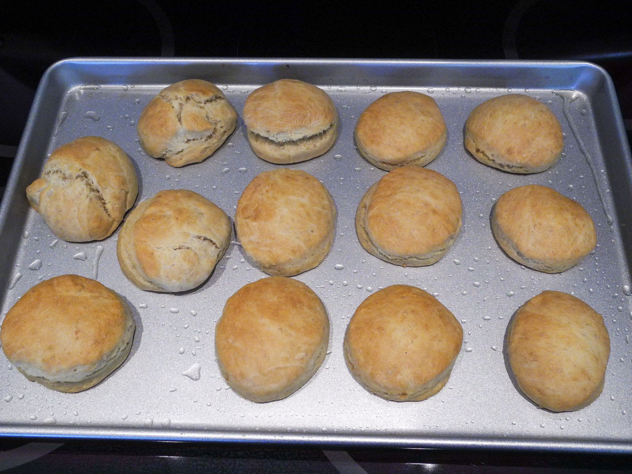 Foolproof Sourdough Biscuits : 6 Steps (with Pictures) - Instructables