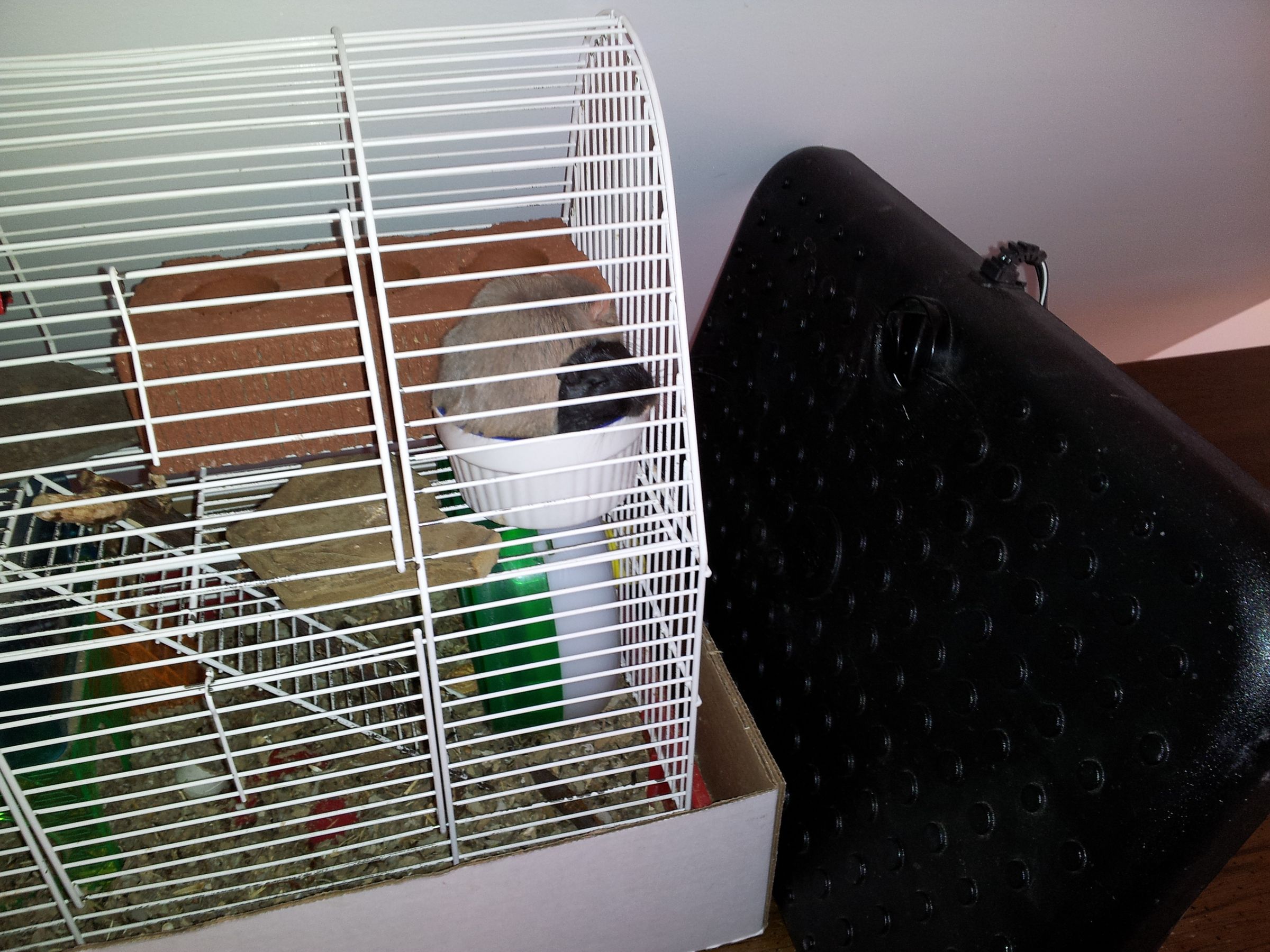 Arduino Automatic Temperature& Humidity Controller for Pets : 5 Steps ...