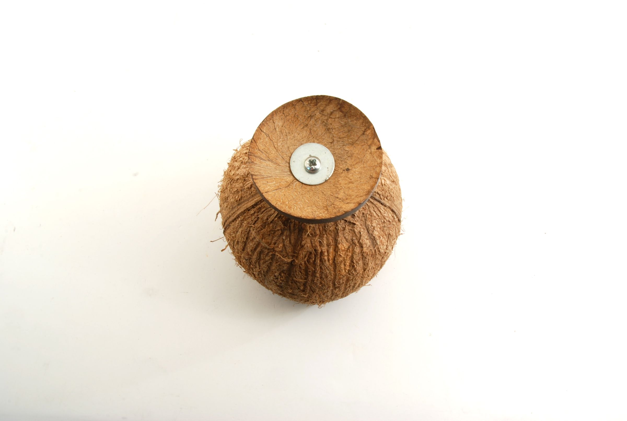 Coconut Drinking Glass : 6 Steps (with Pictures) - Instructables