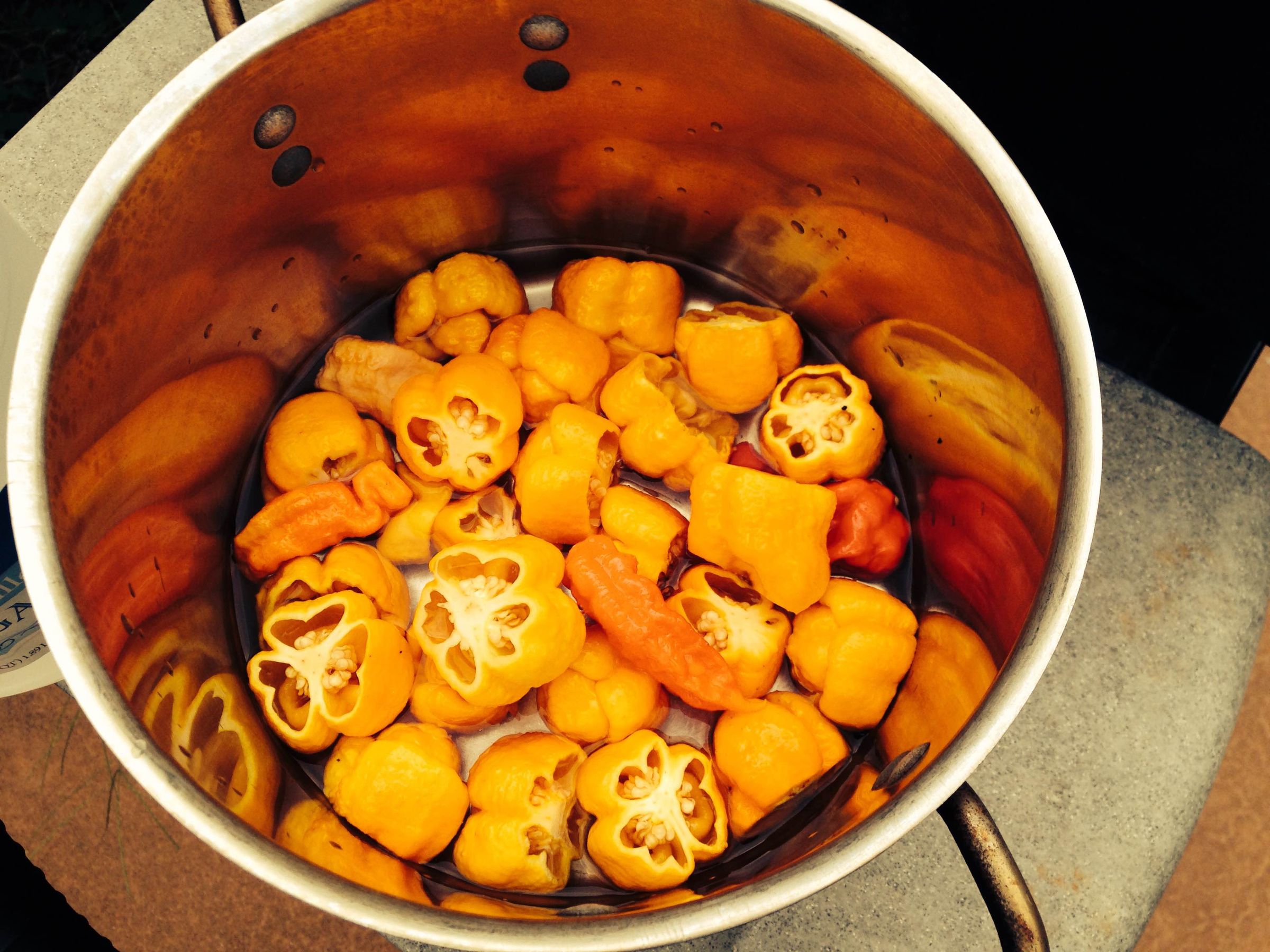 Extreme Hot Sauce From Scratch : 6 Steps (with Pictures) - Instructables