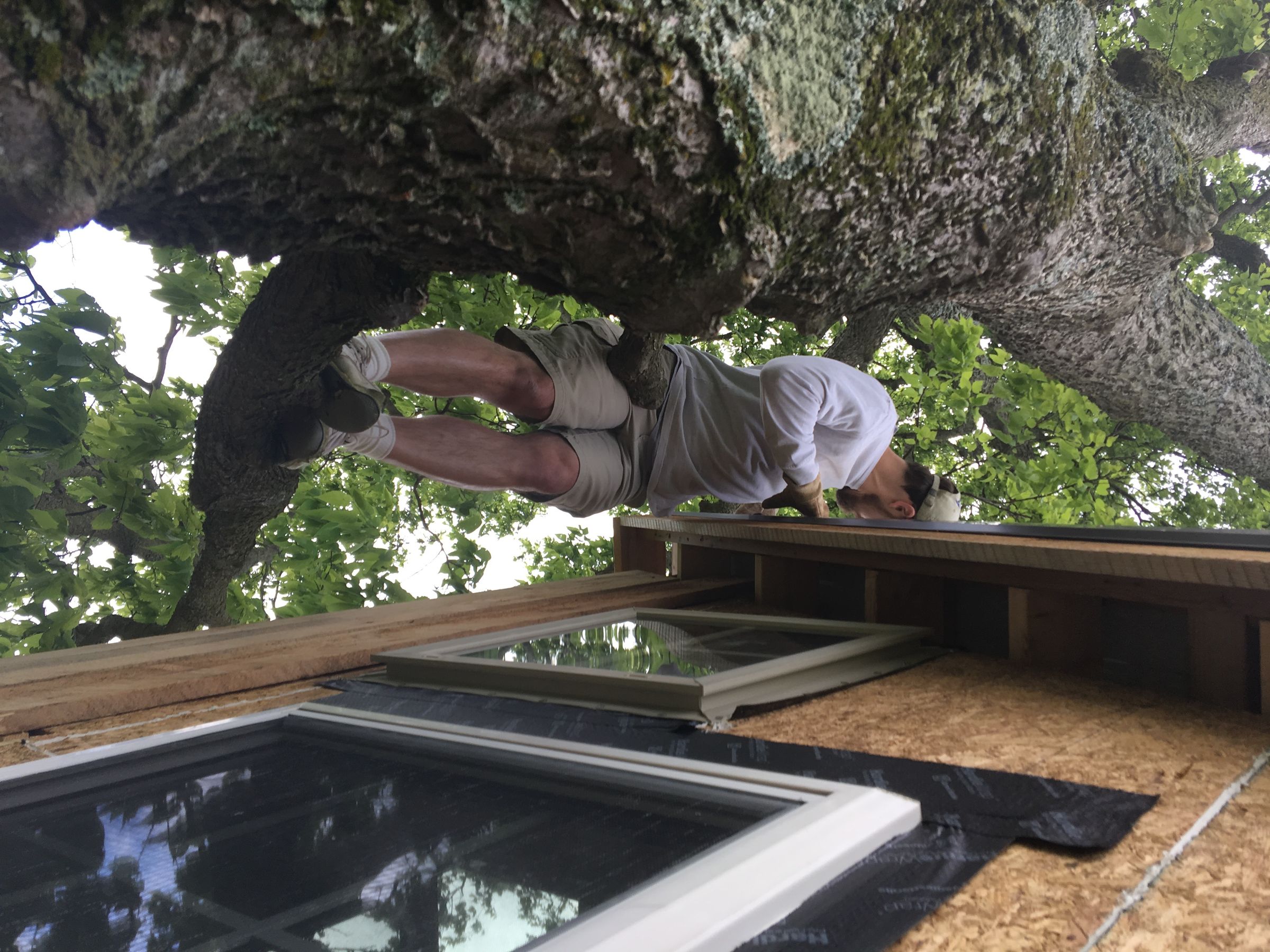 Epic Treehouse : 13 Steps (with Pictures) - Instructables