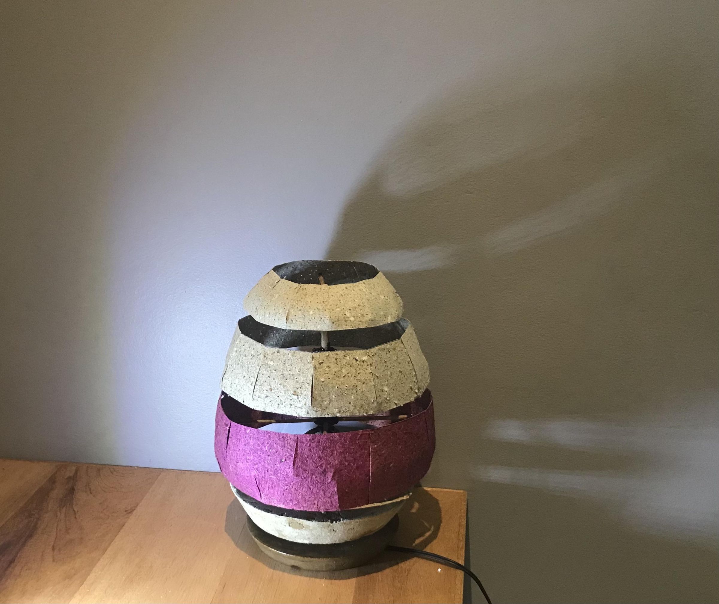 Bio Luminaire : 8 Steps (with Pictures) - Instructables