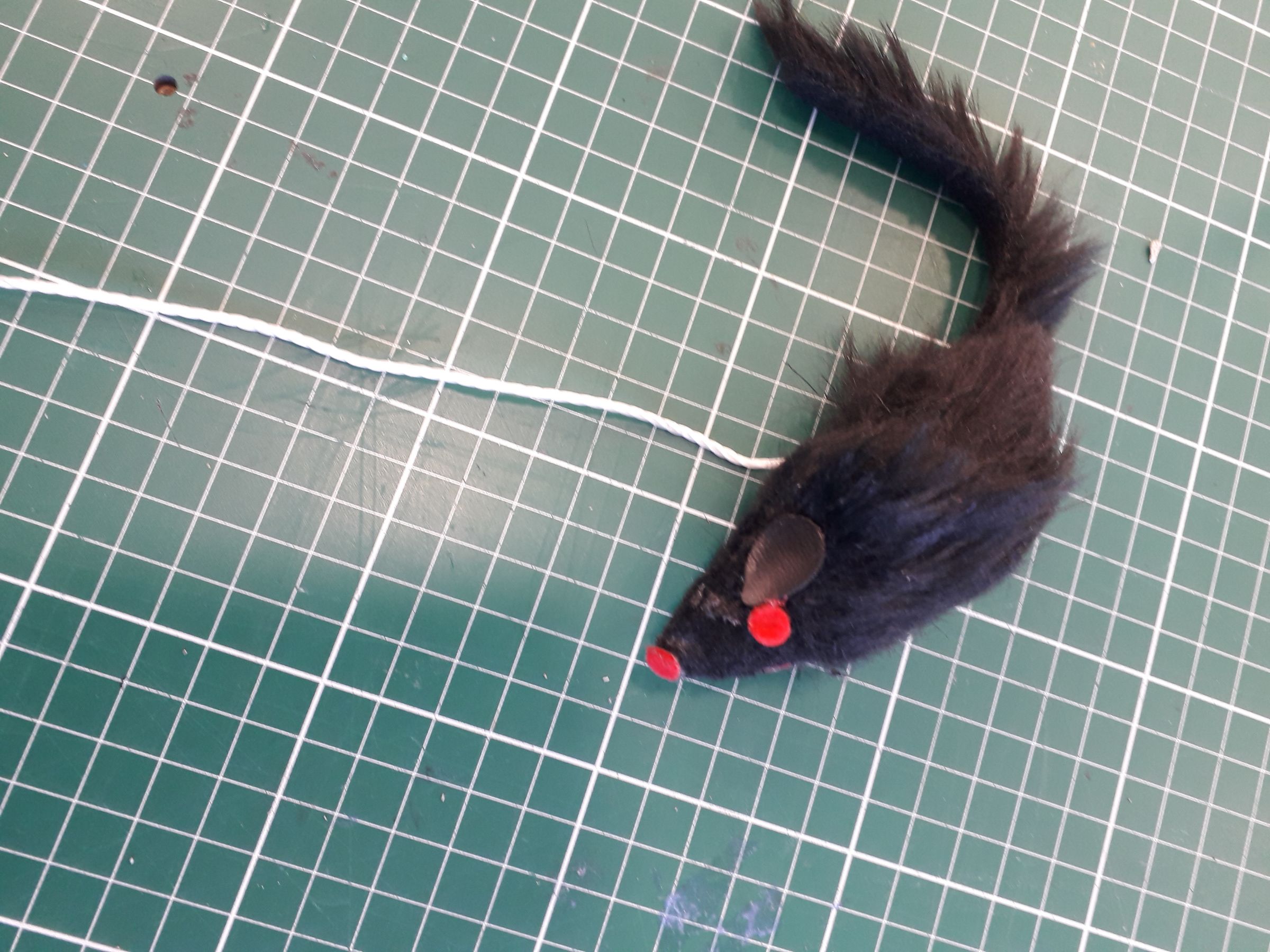 Elephant & Mouse Riddle : 4 Steps - Instructables