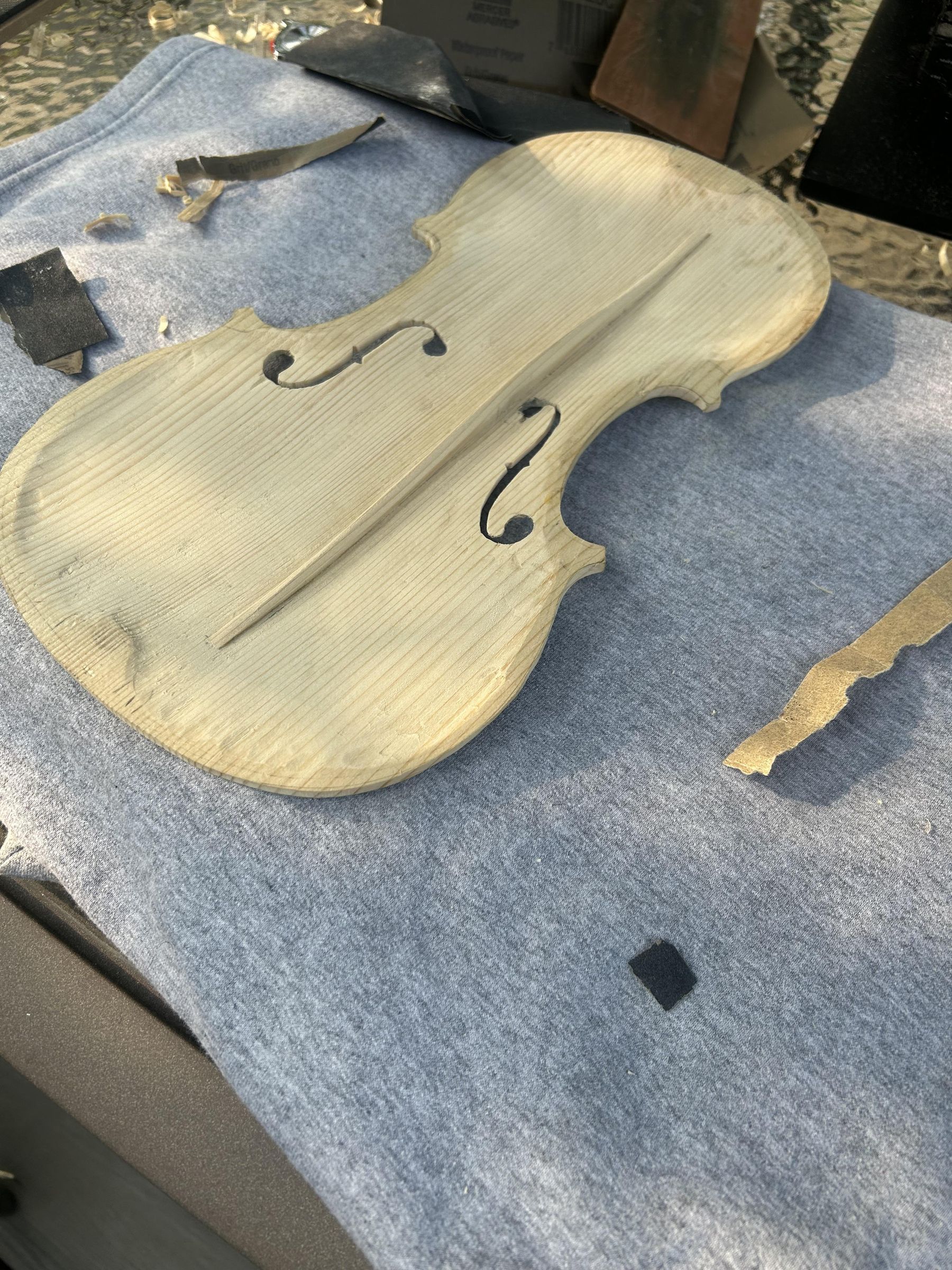 Building a Violin From Scratch Using Hand Tools : 35 Steps (with ...