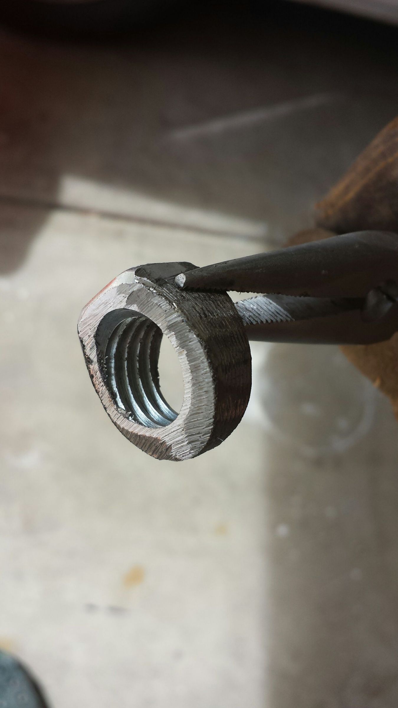 Signet Ring From Nut : 10 Steps (with Pictures) - Instructables