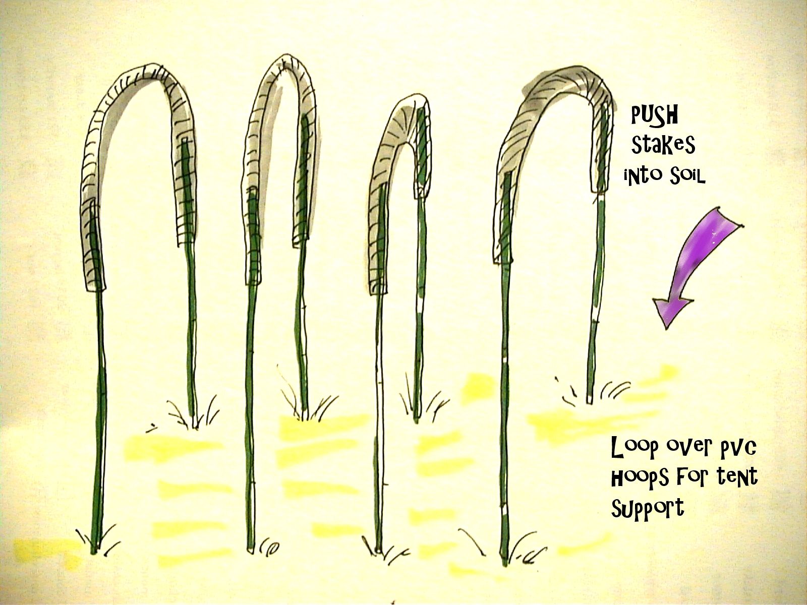 Make a Quick Hoop Tunnel : 3 Steps - Instructables