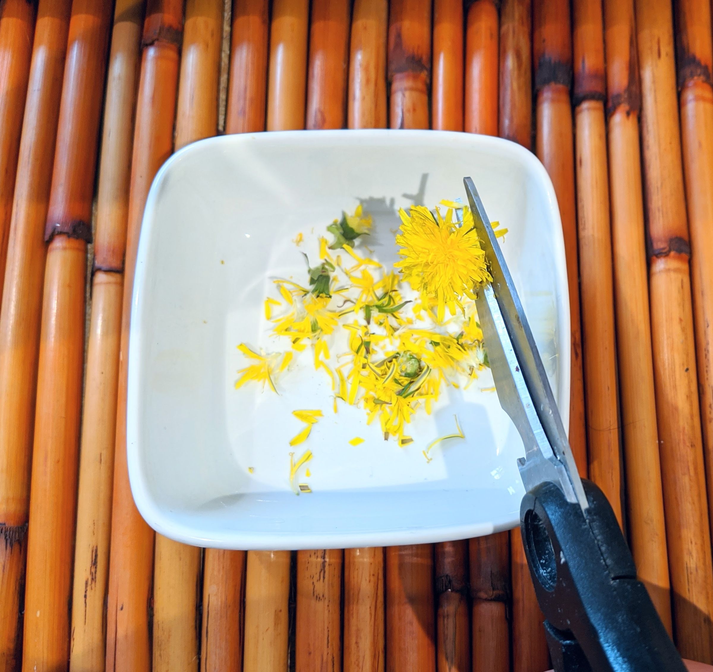 Making Natural Inks : 4 Steps (with Pictures) - Instructables