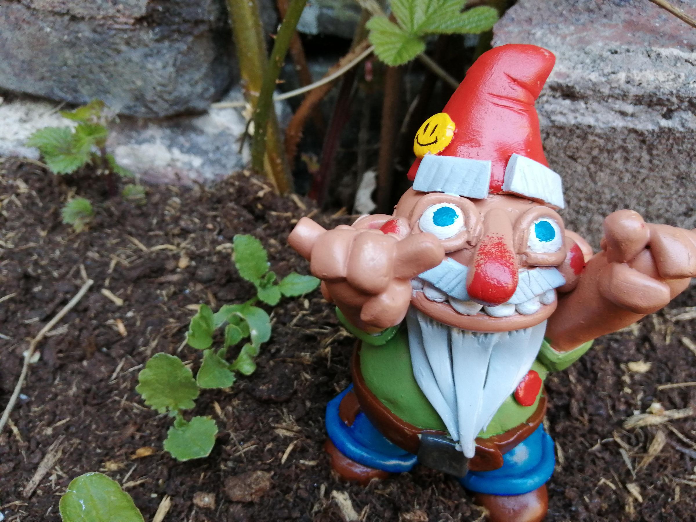 Sculpt Your Own Gnome : 6 Steps (with Pictures) - Instructables