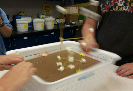 STEM Design Challenge: Building Earthquake Proof Buildings AND a Shake ...