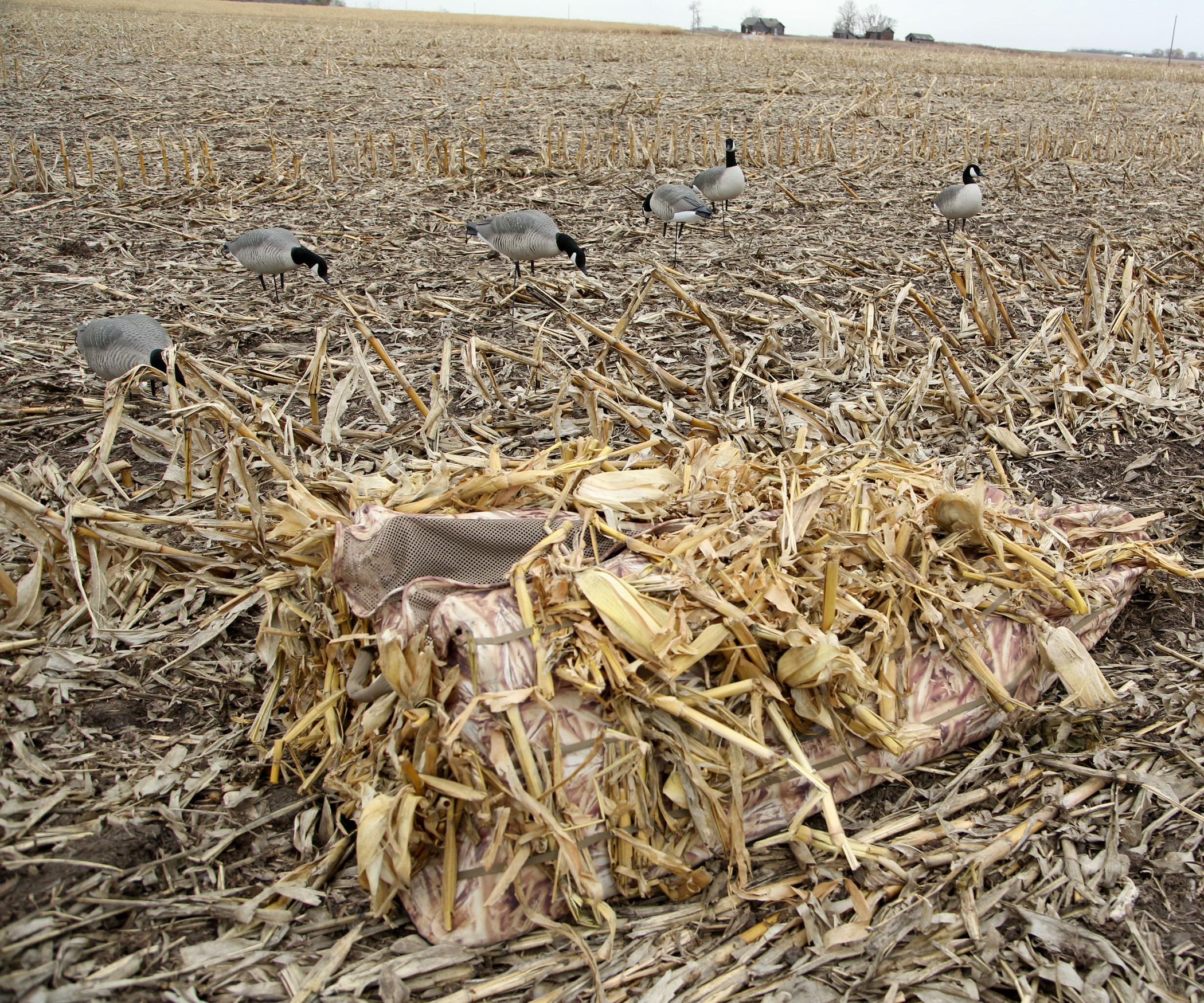 How to Set Up Goose Decoys : 7 Steps - Instructables