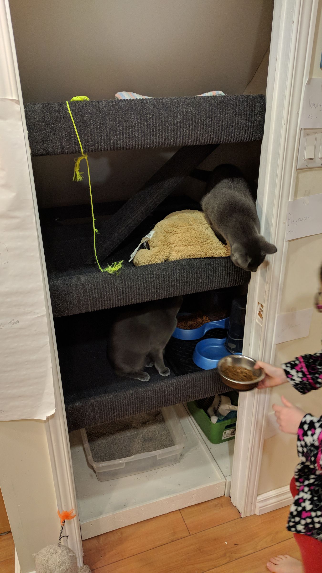 A Cat Chalet; Why Not? : 7 Steps (with Pictures) - Instructables