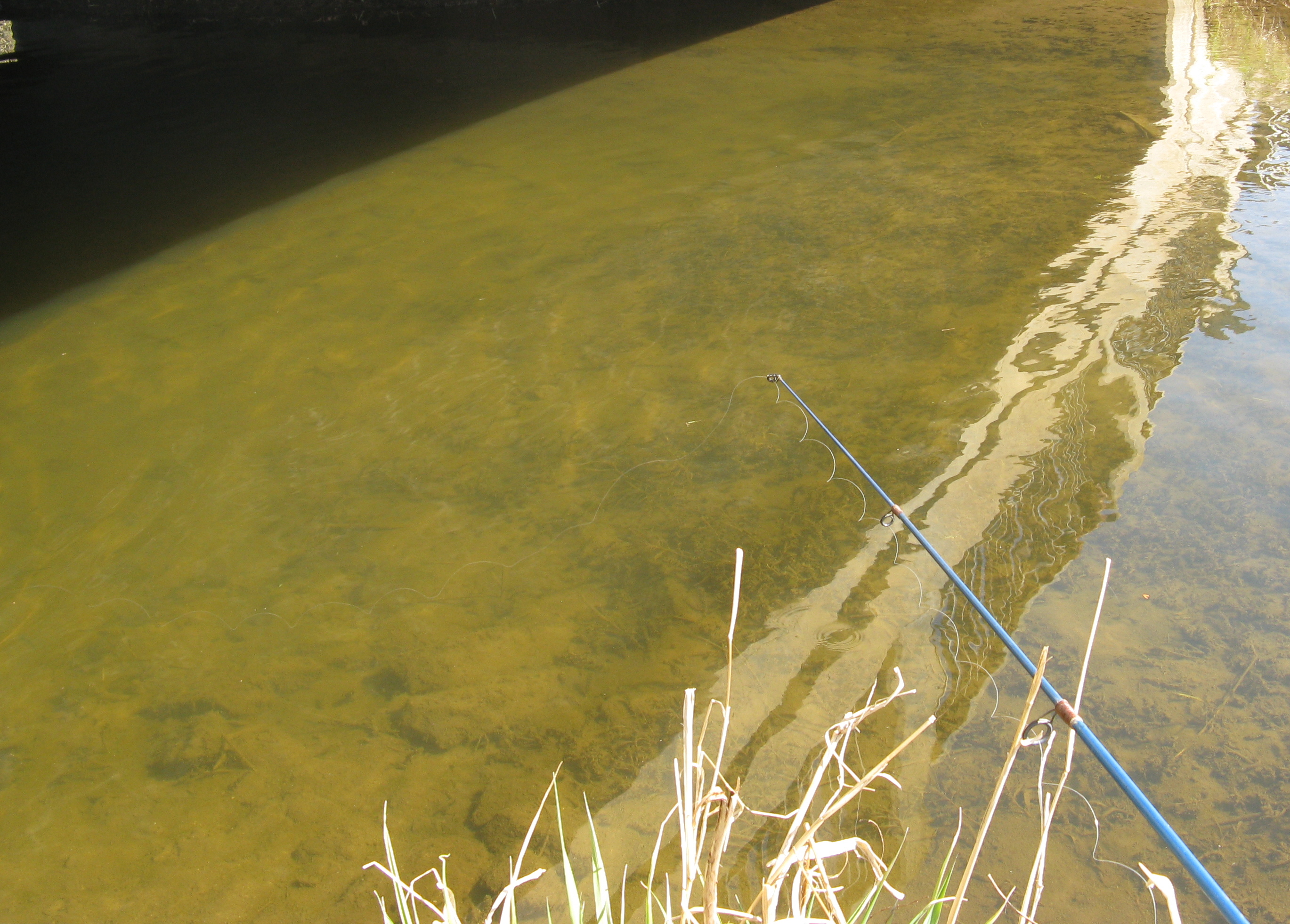 Fresh Trout Breakfast : 10 Steps (with Pictures) - Instructables