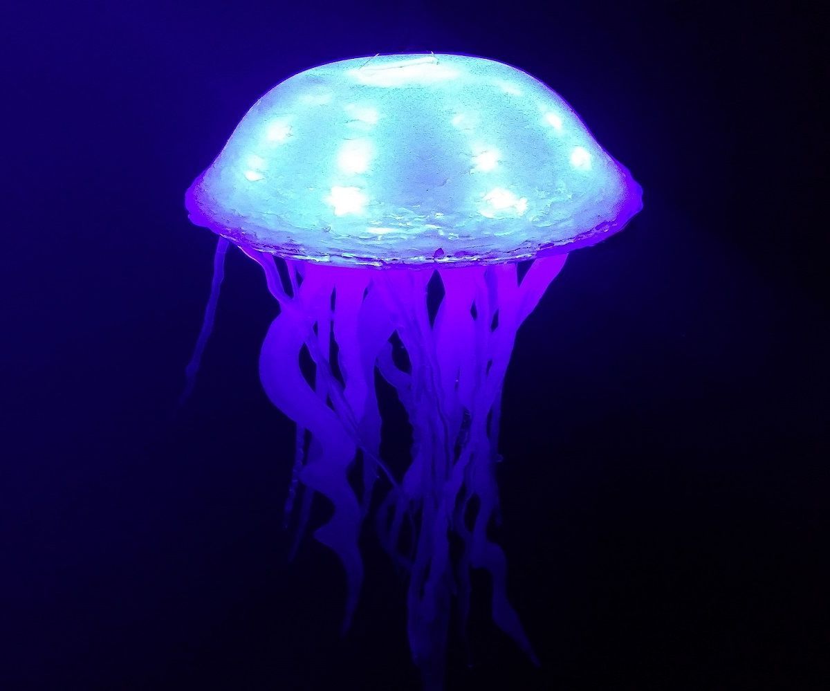 How to Make a Glowing Jellyfish : 5 Steps (with Pictures) - Instructables