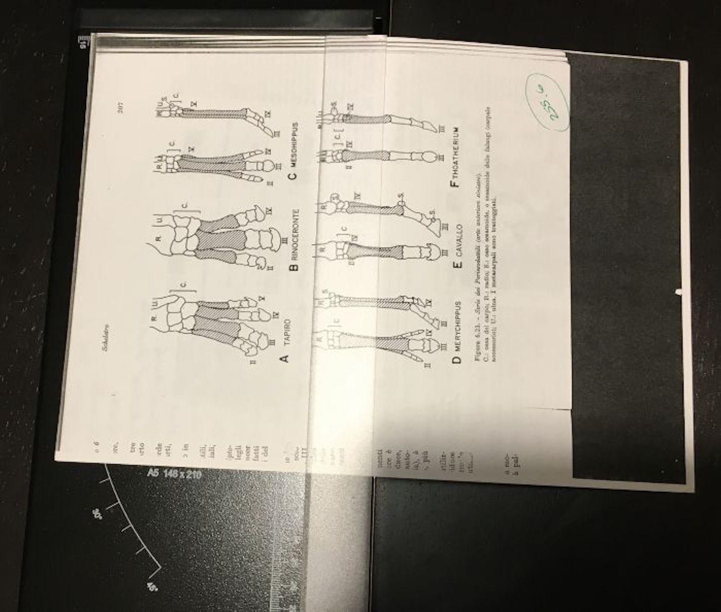 A Secret Storage Book : 7 Steps (with Pictures) - Instructables