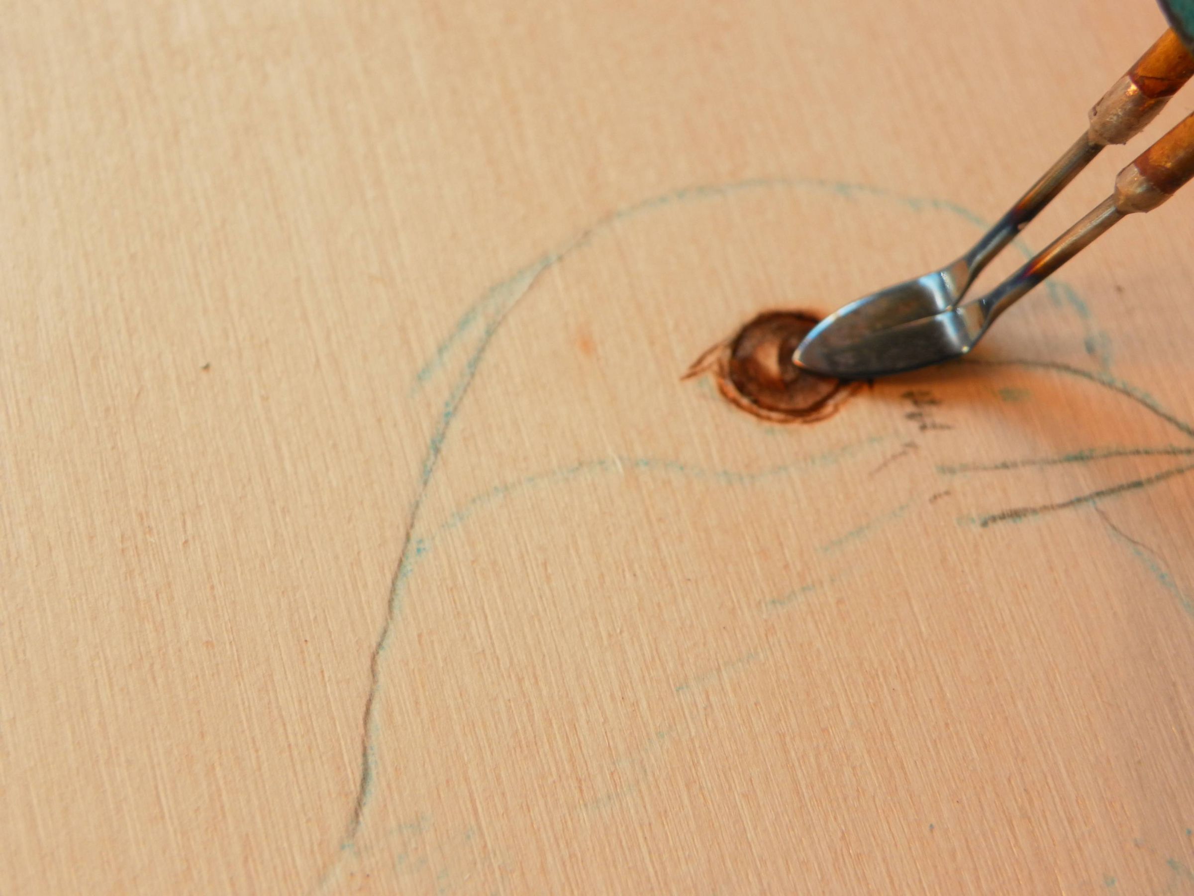Pyrography: Step by Step Burn a Chickadee : 10 Steps (with Pictures ...