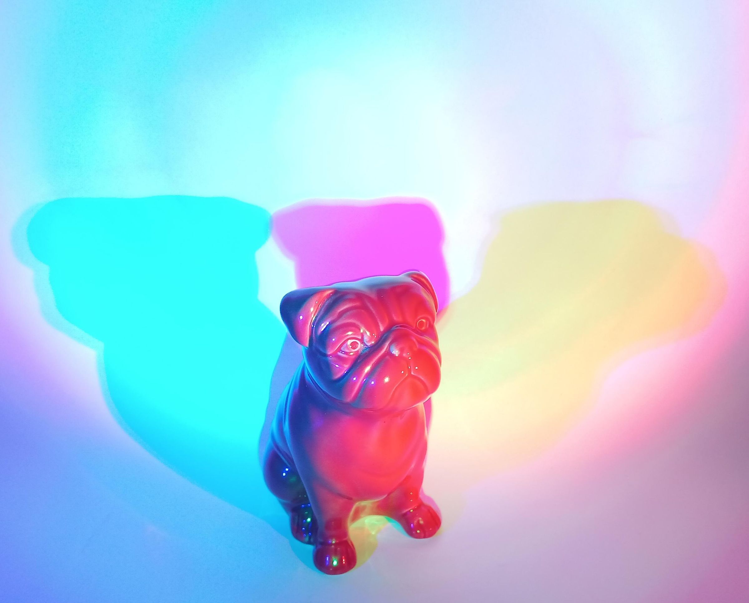 Build a Colored Shadow Photography Spotlight! : 5 Steps (with Pictures ...