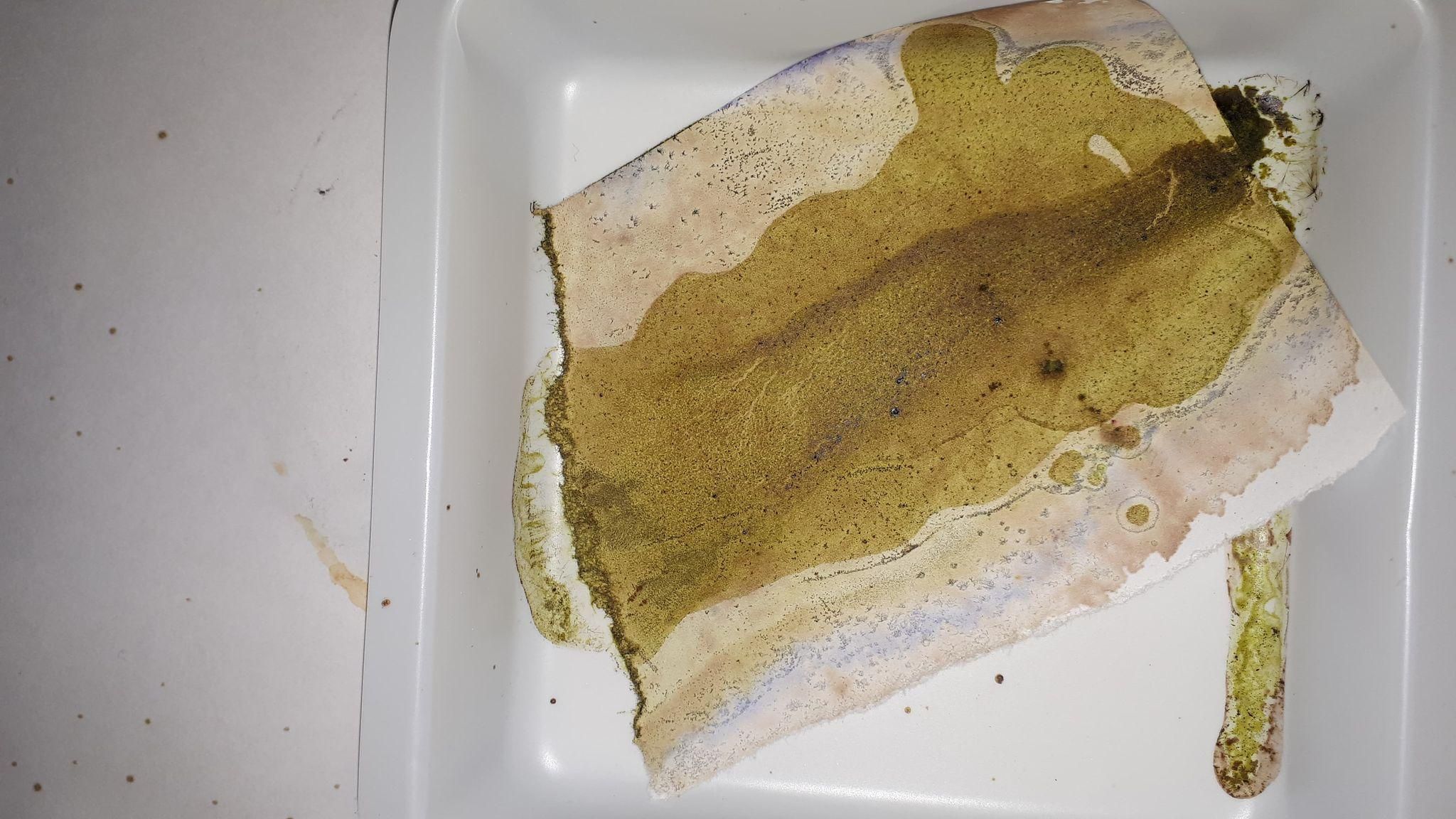 Pigment Dyes With Metal DMG Complexes for Painting and Using Other Dyes ...