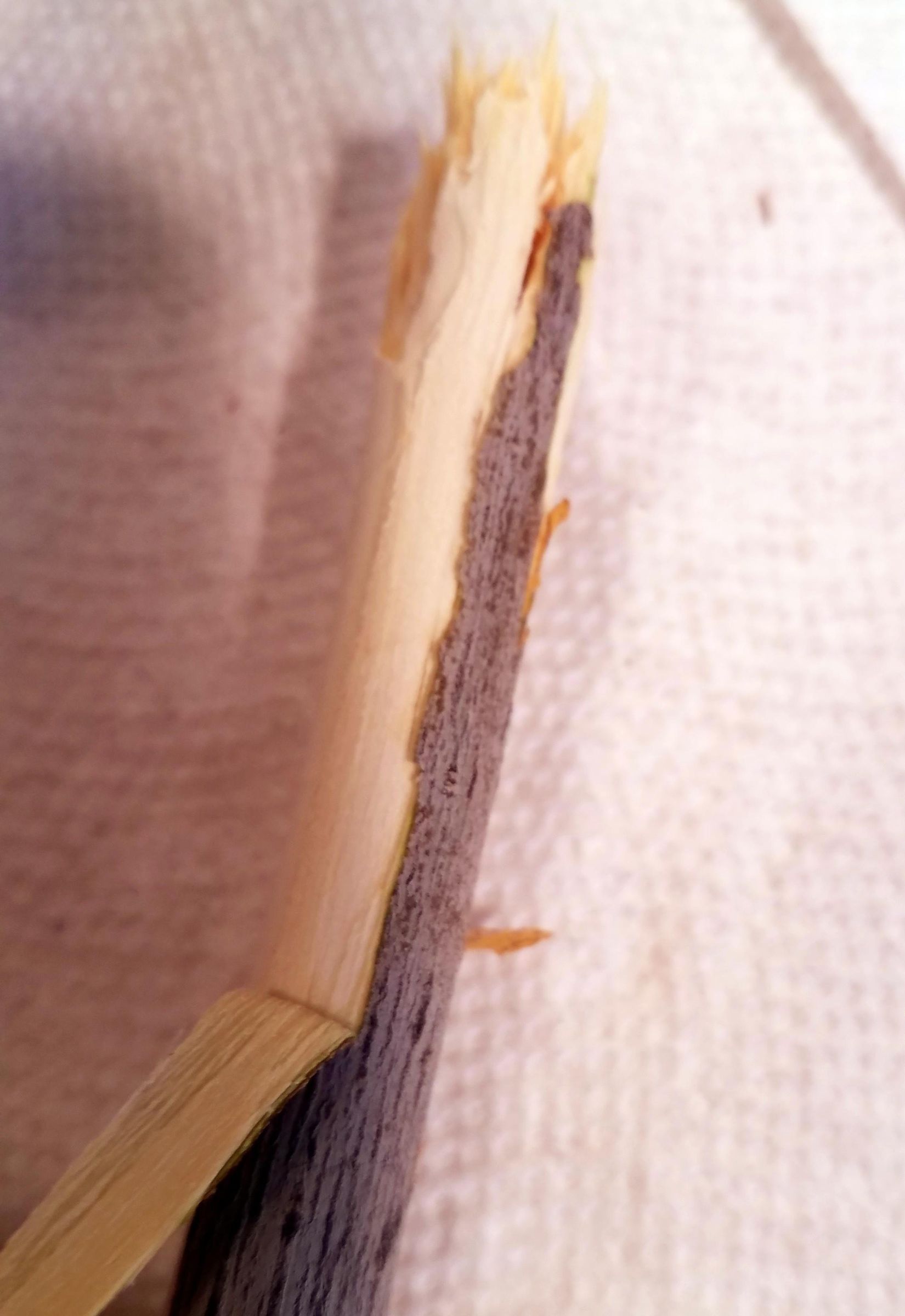 Complete Hobo Stove & Cooking Pots System Bundle, No Tools Build, for ...