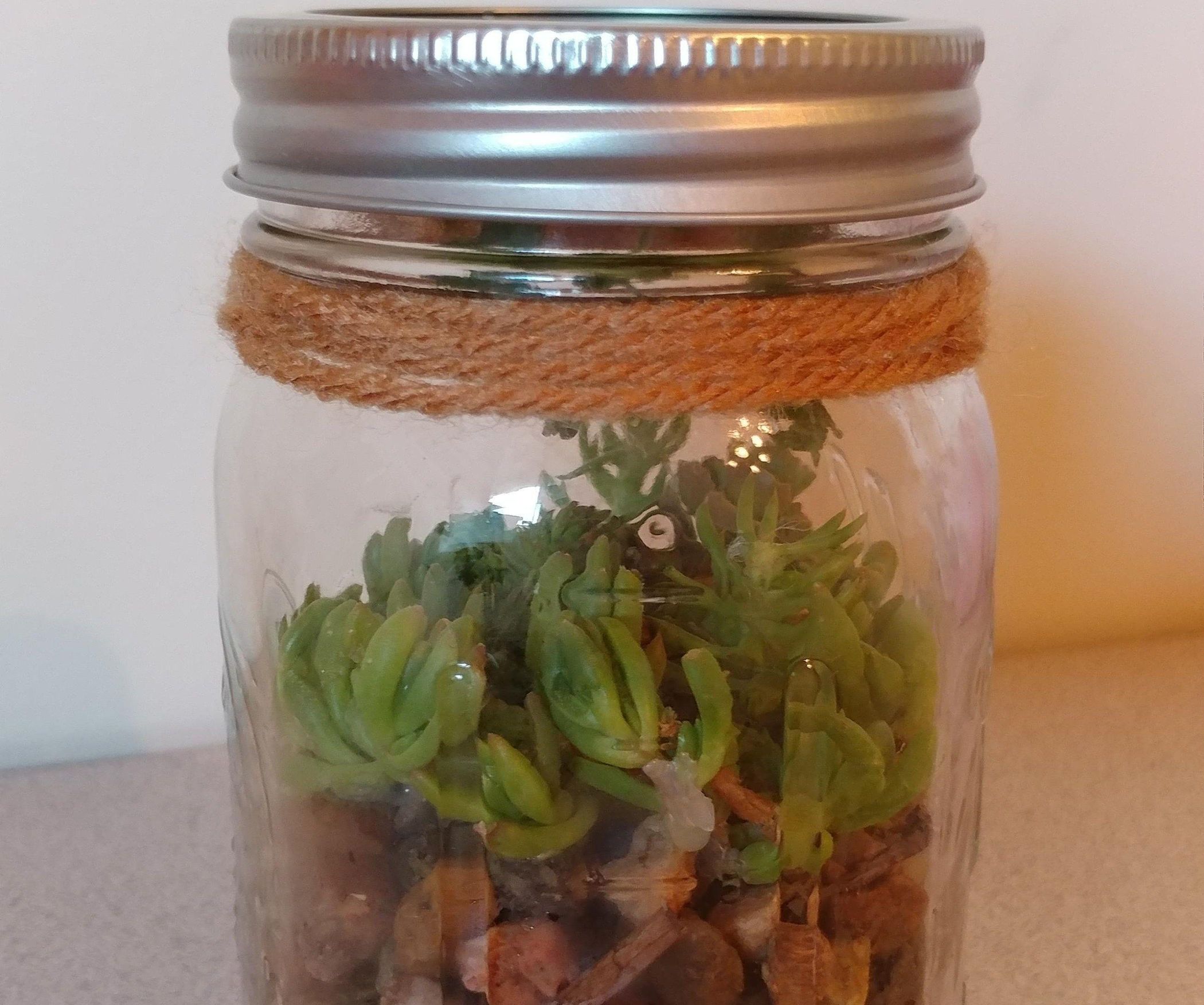 DIY Plant in a Jar : 4 Steps - Instructables
