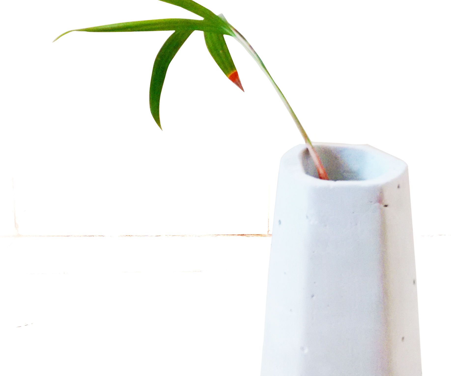 Cement Vase : 9 Steps (with Pictures) - Instructables
