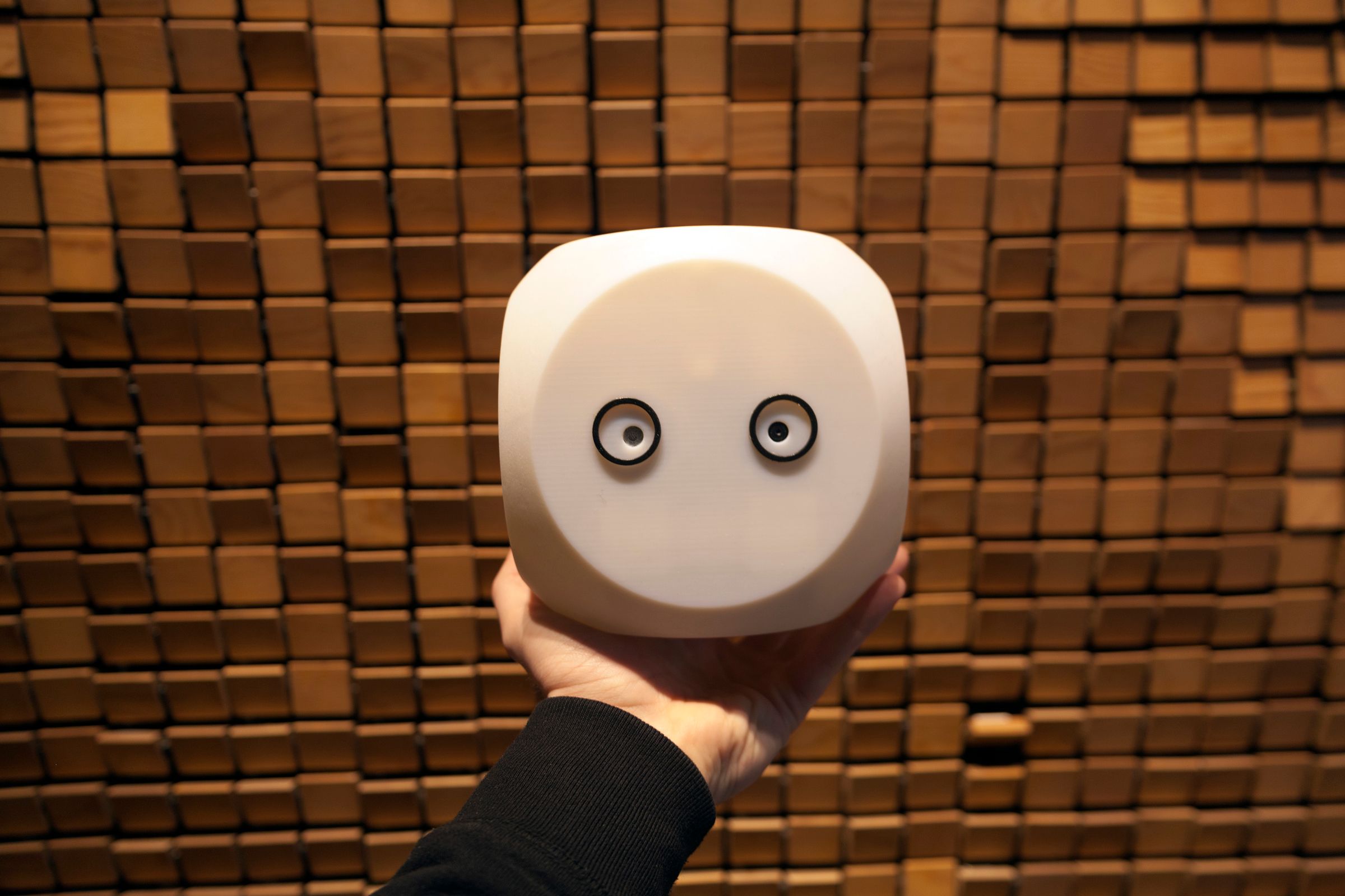 Noodle: a Crowdsourced Robot : 19 Steps (with Pictures) - Instructables