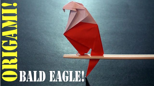 Origami Bald Eagle! - Instructables
