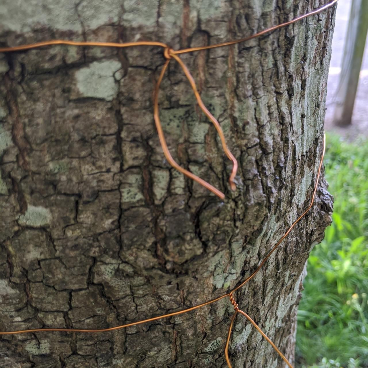 Smart Sparrow Homes : 7 Steps (with Pictures) - Instructables