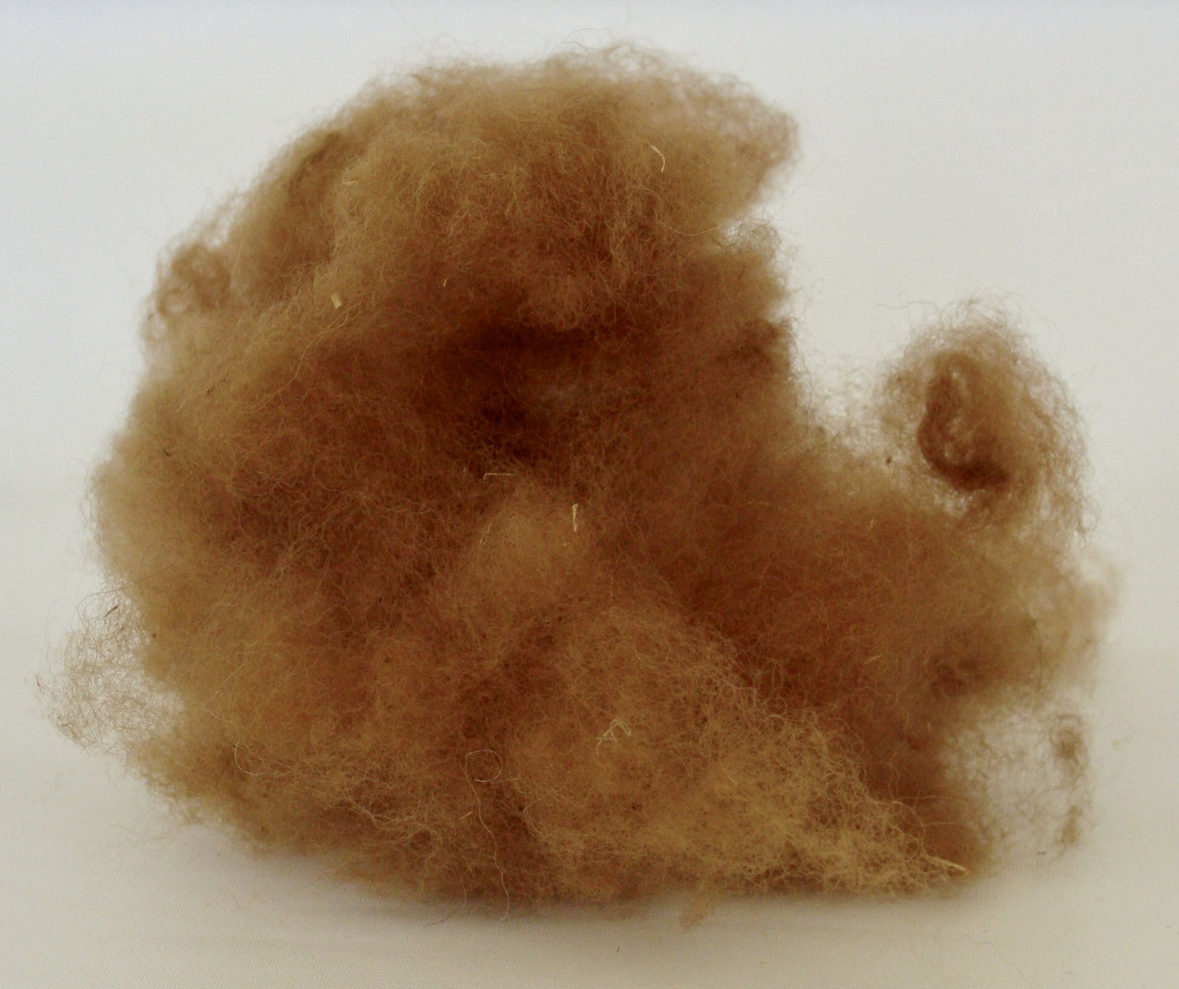 Alpaca Fleece . . . . Now What? : 10 Steps (with Pictures) - Instructables