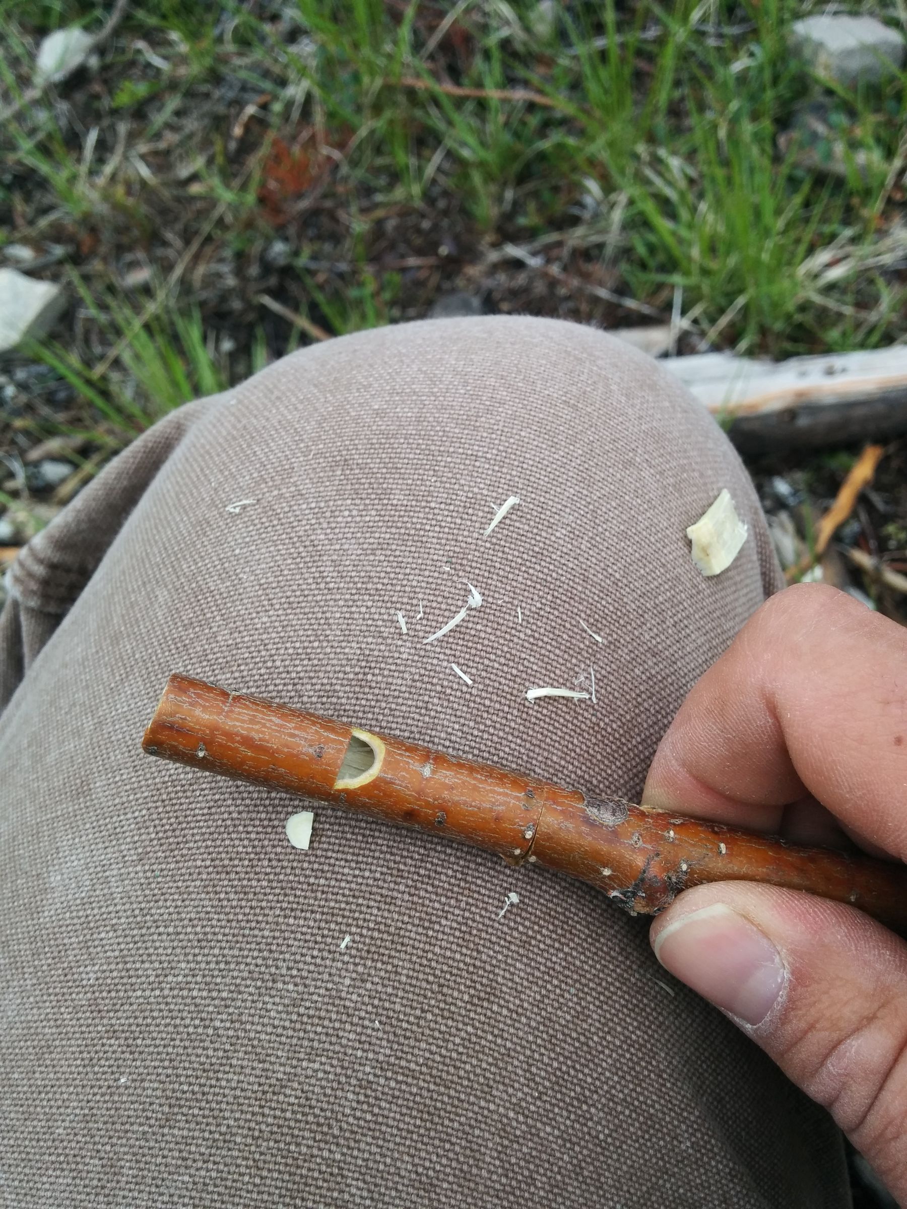 Stick Bark Whistle : 10 Steps (with Pictures) - Instructables