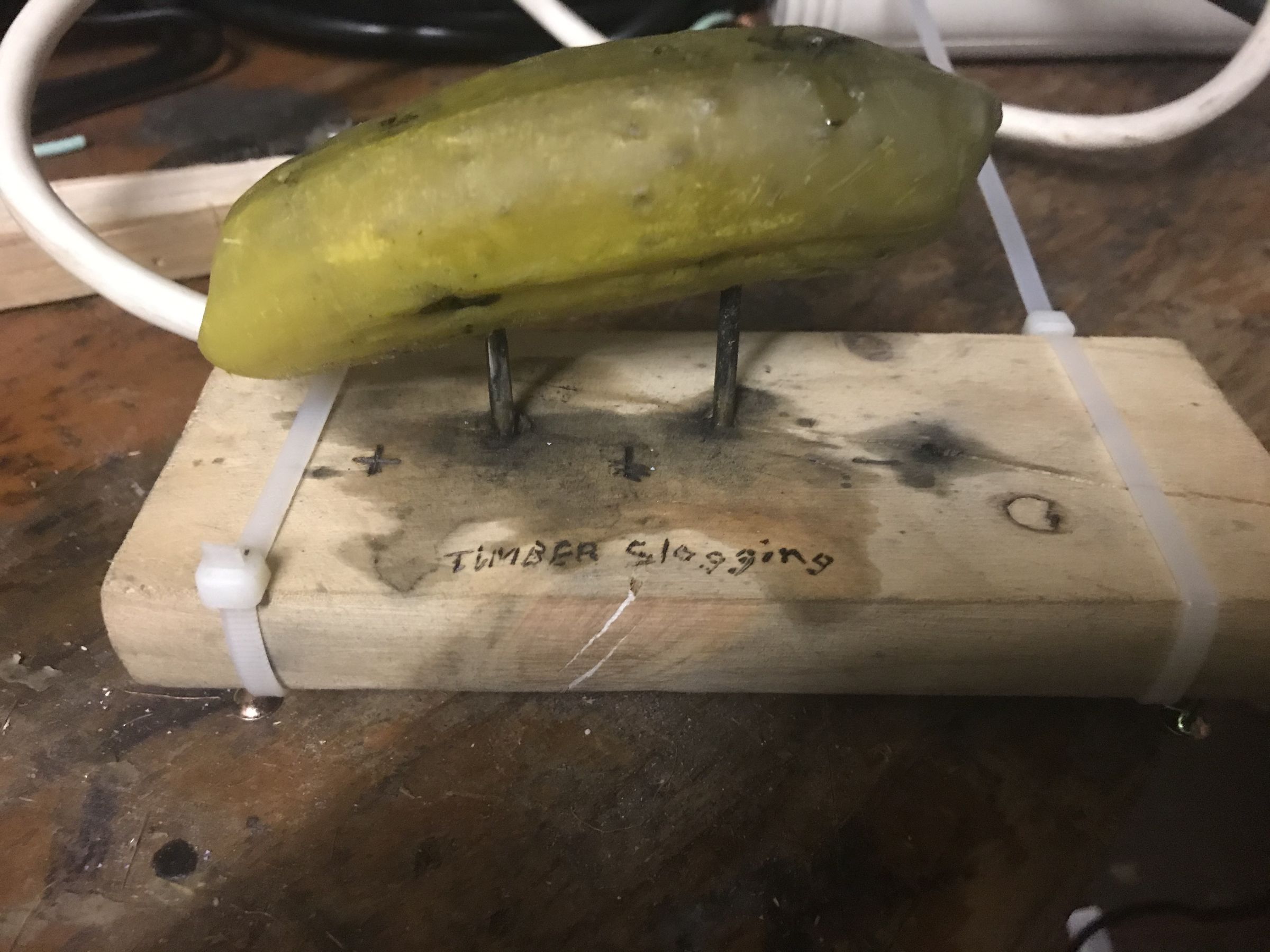 Glowing Pickle : 5 Steps - Instructables