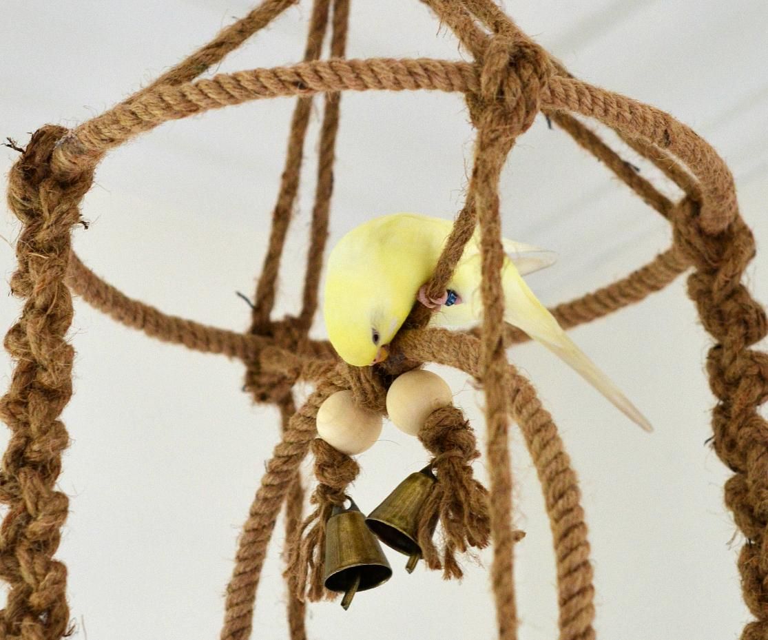Macrame Bird Perch : 11 Steps (with Pictures) - Instructables