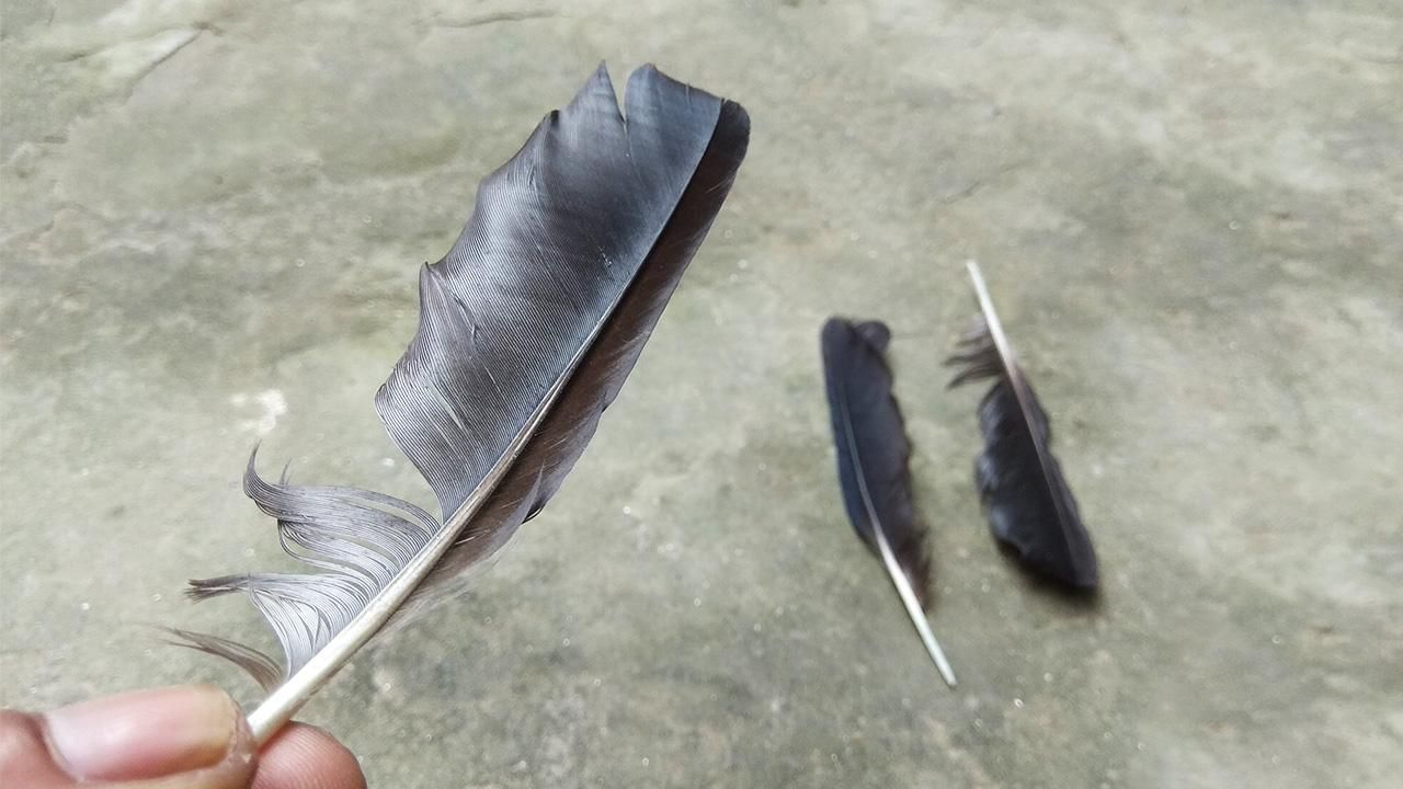 Traditional Wooden Arrow : 8 Steps (with Pictures) - Instructables