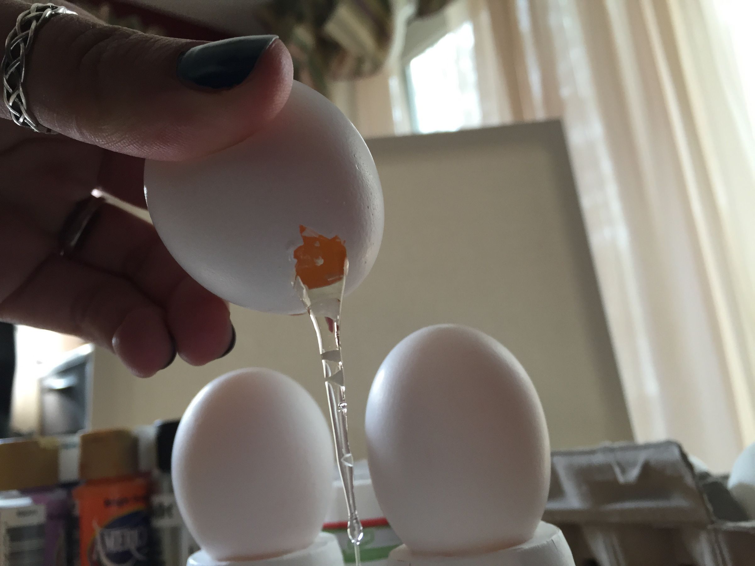 Painting With Eggs : 4 Steps (with Pictures) - Instructables