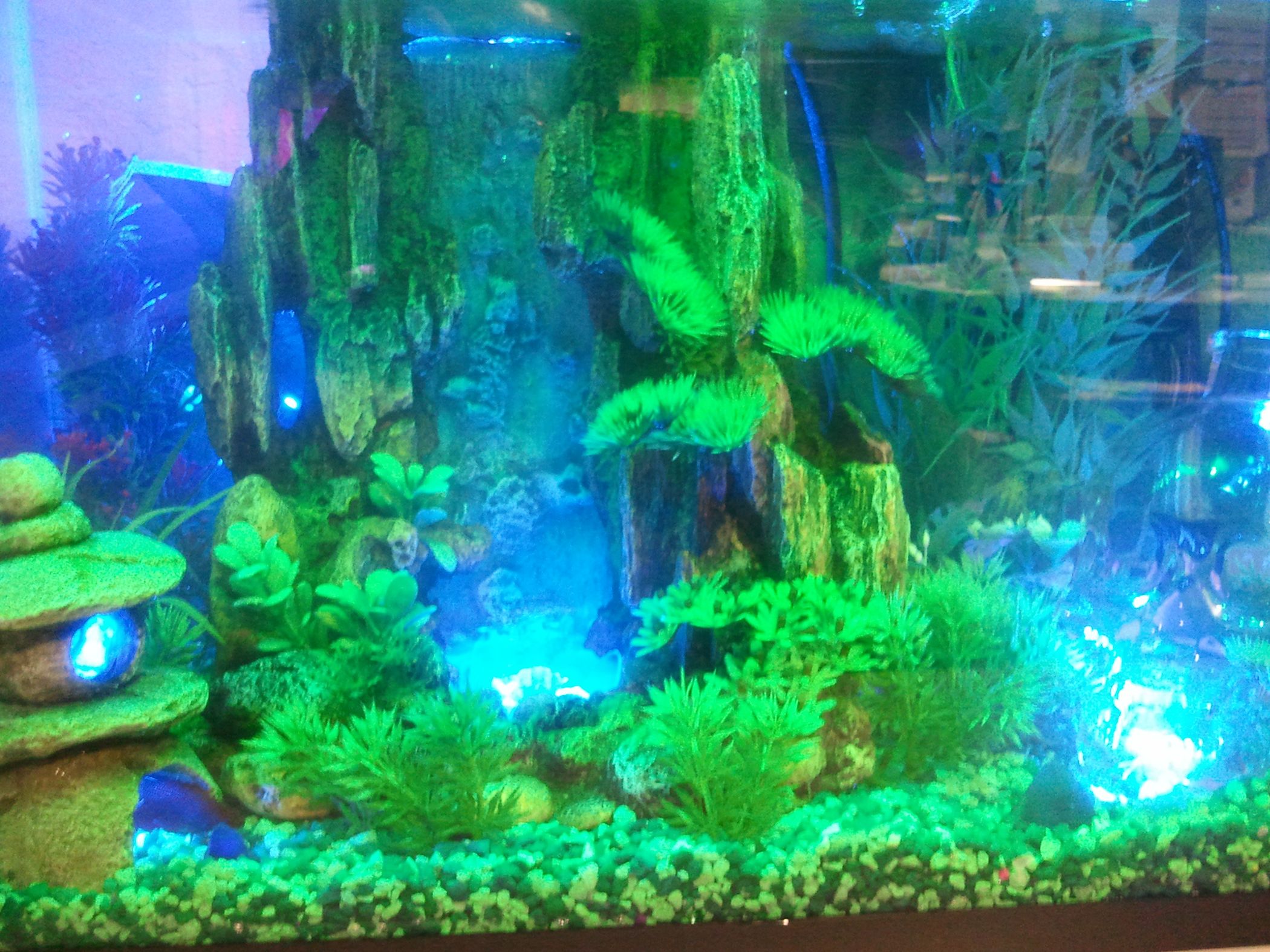 Interactive Aquarium LED Lighting : 4 Steps - Instructables