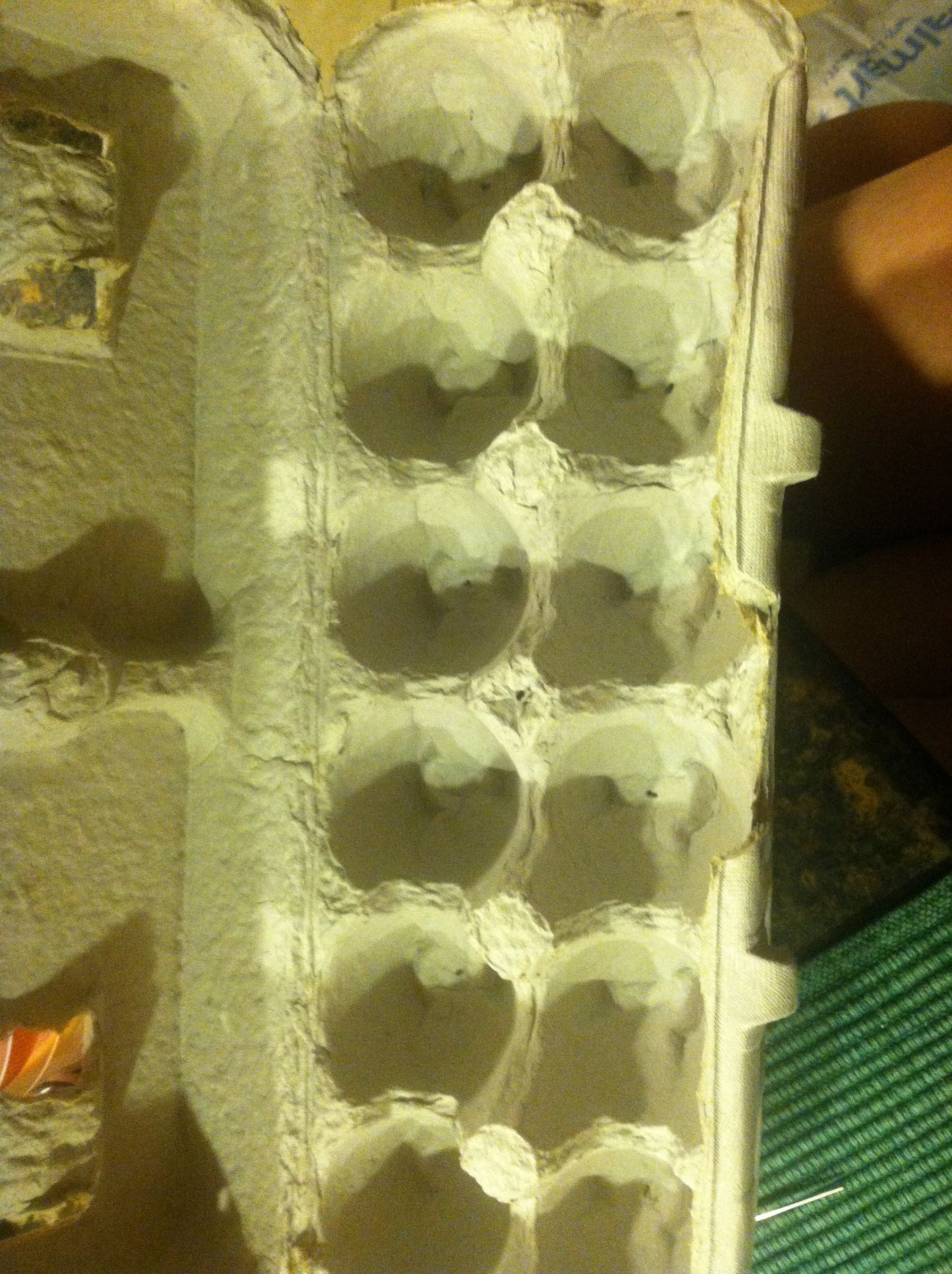 Egg Carton Mobile : 5 Steps - Instructables