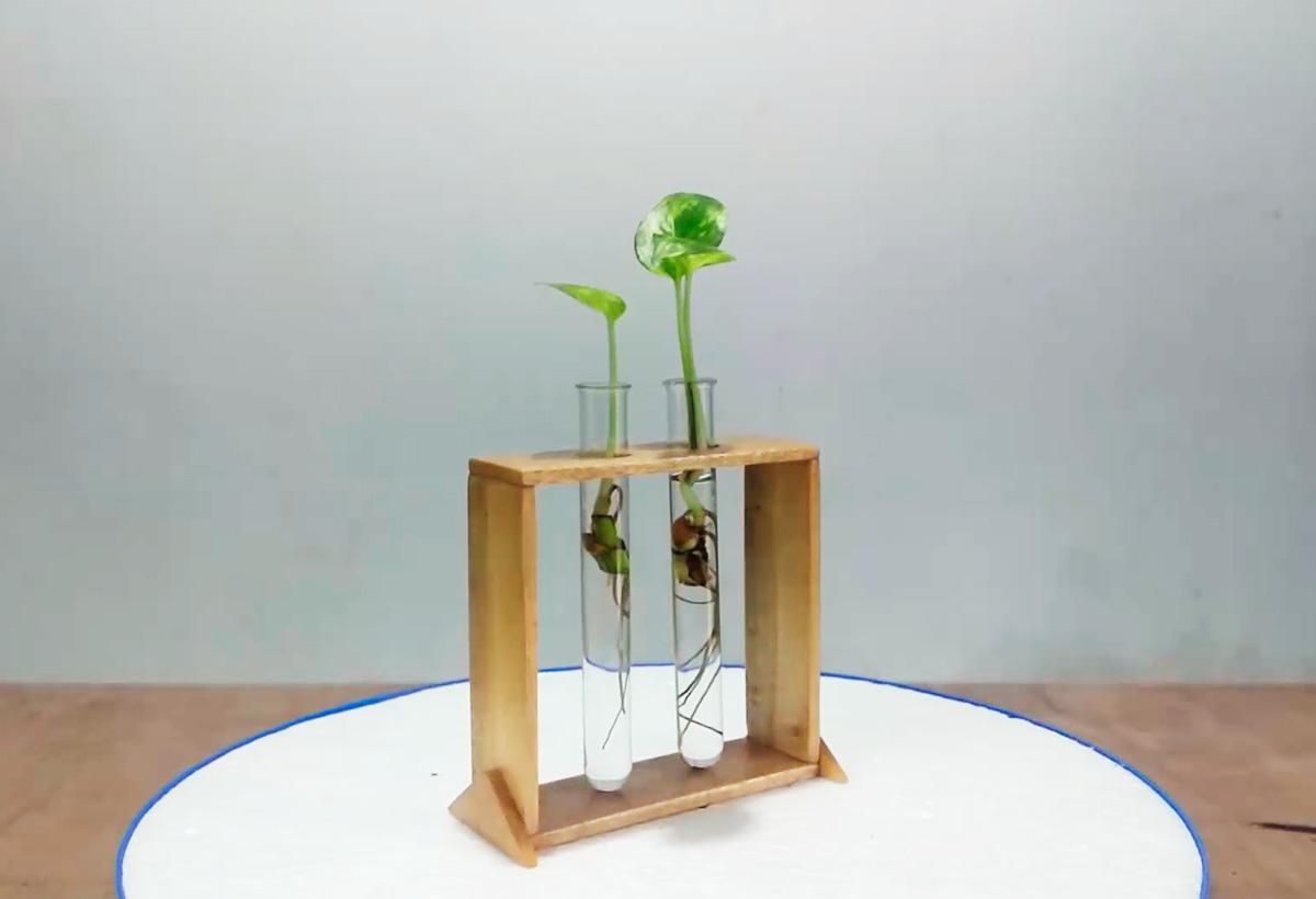 Test Tube Planter | Propagation Station : 9 Steps (with Pictures ...