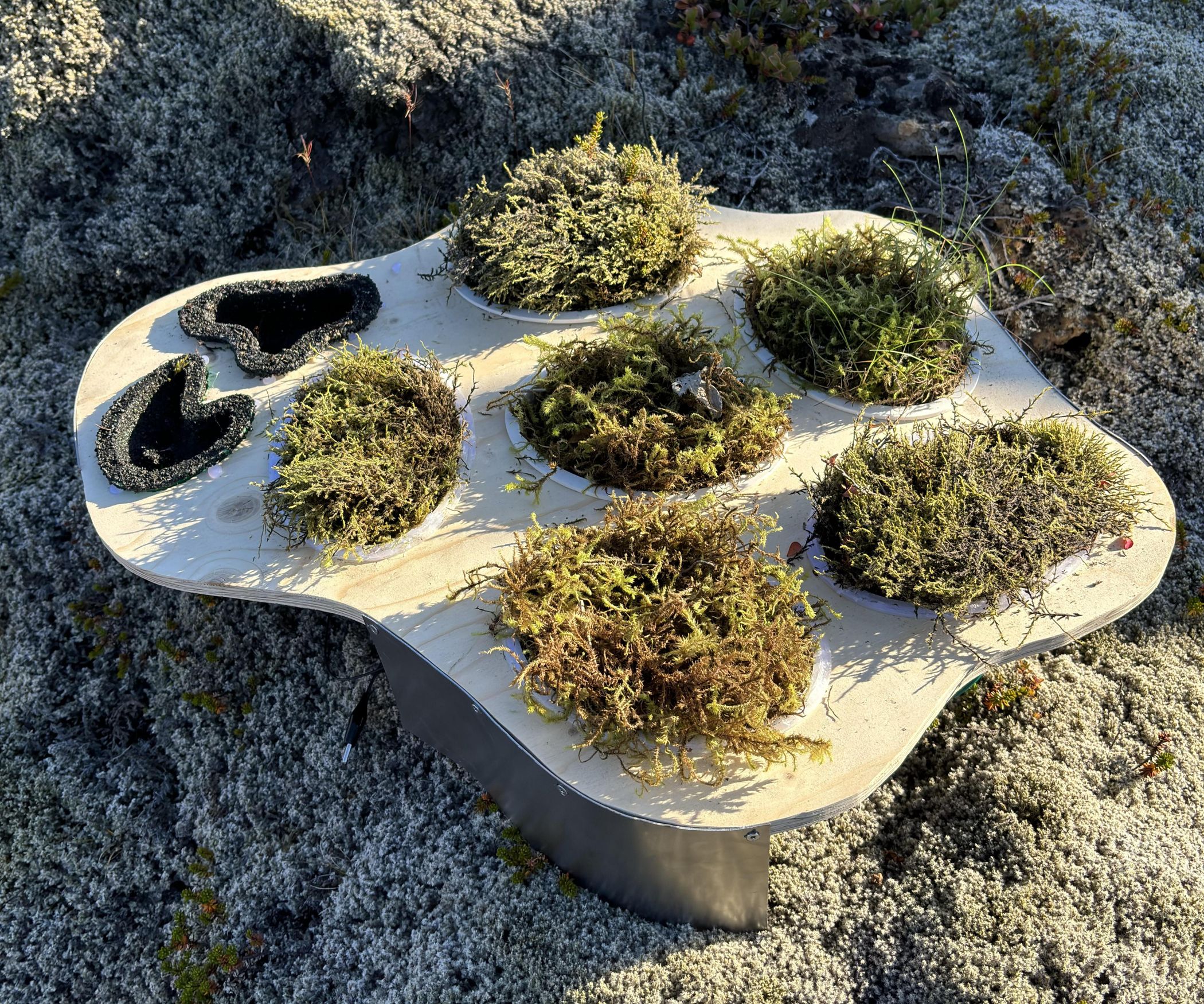 THE MOSSPIT : 13 Steps - Instructables