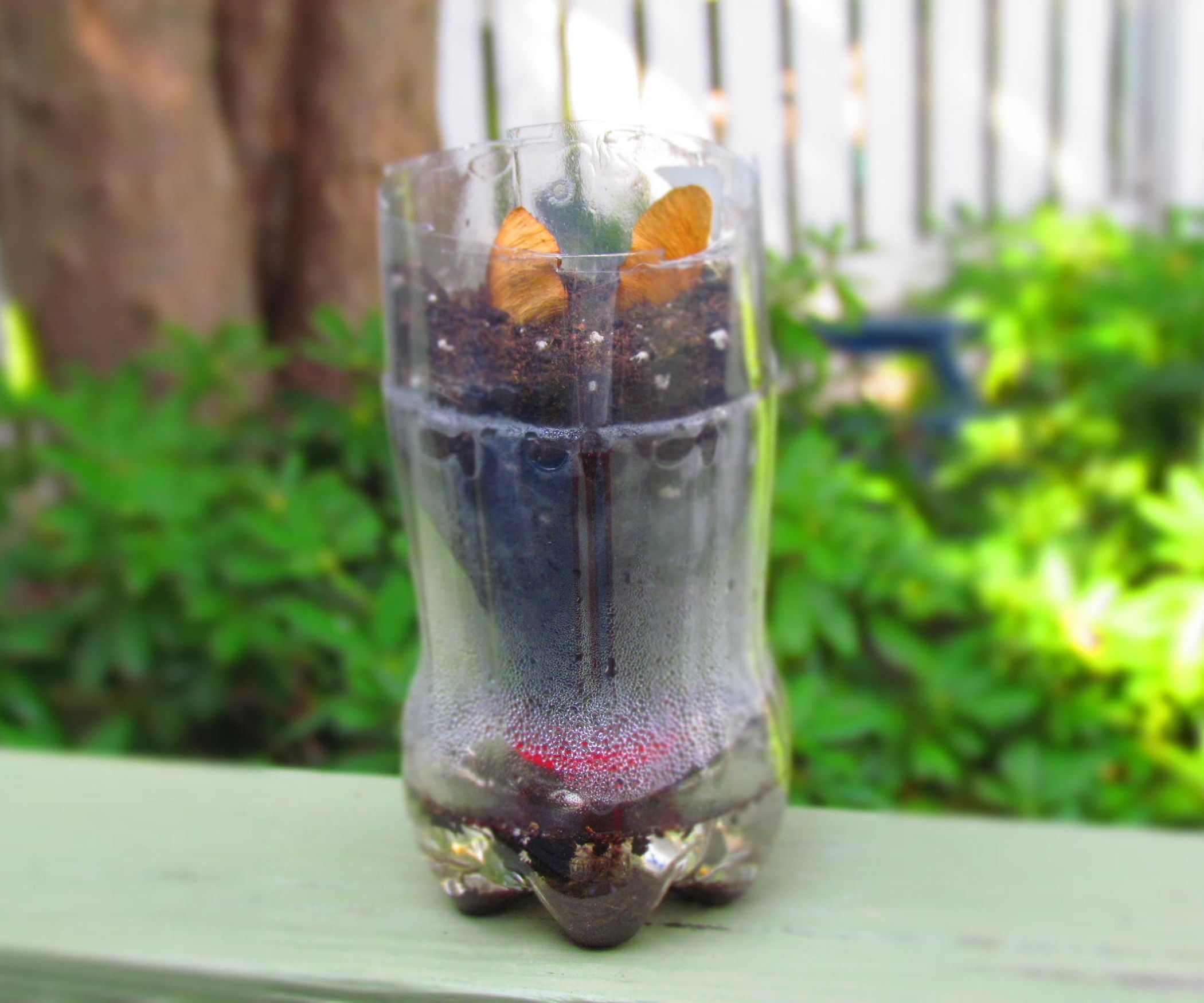 DIY Self Watering Plant With 3 Objects! : 6 Steps - Instructables